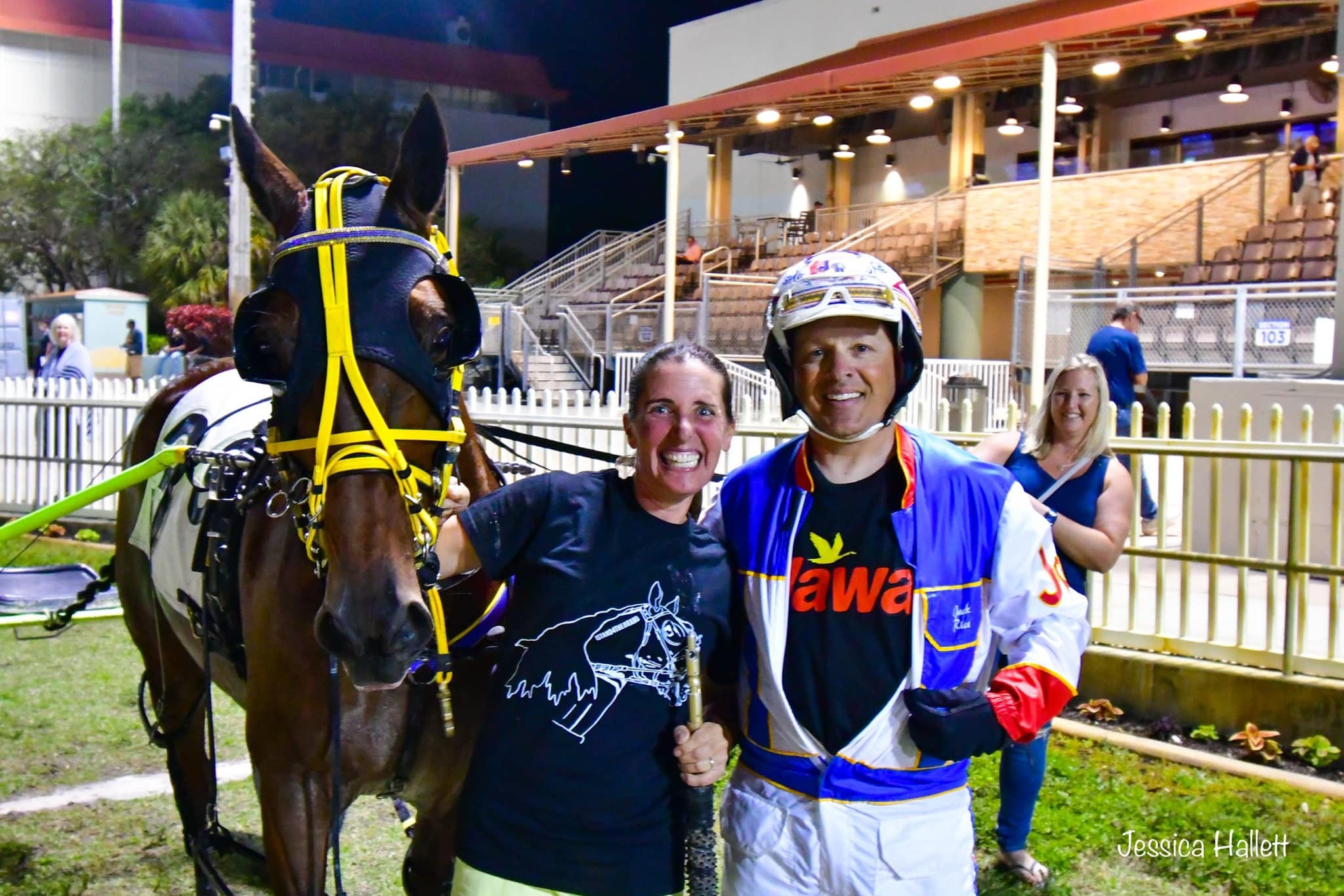 Harness: Profile of trainer/driver Jack Rice
