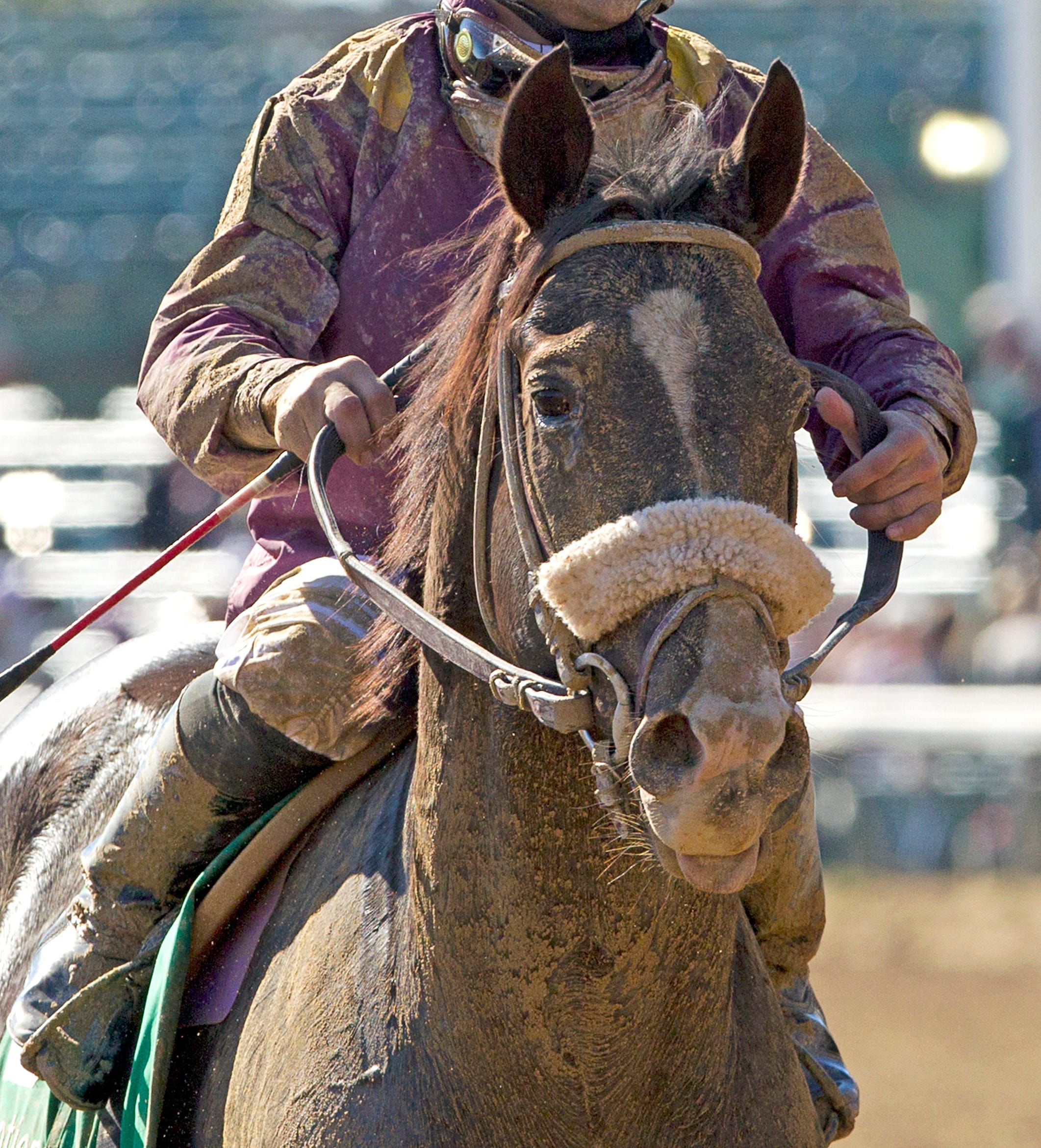 Gulfstream: Jackson Bend expected in Hal’s Hope