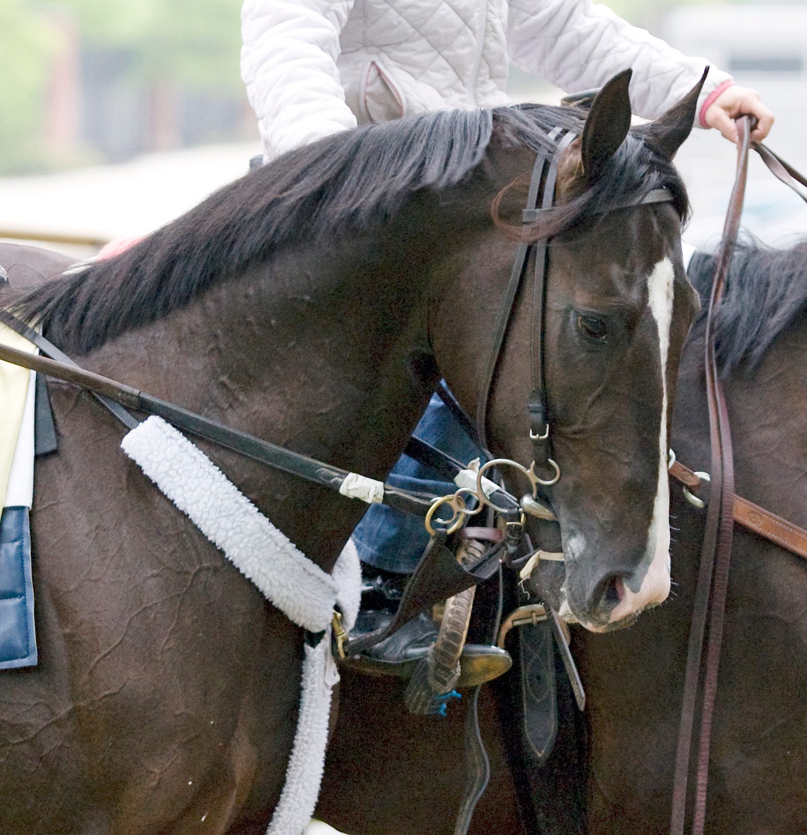 Jackson Bend eyes rebound in Ack Ack