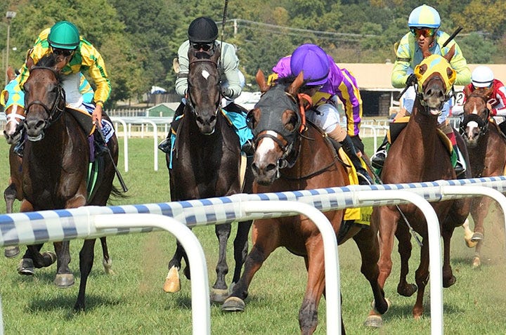 DRF's Horse Racing Playbook for Friday, August 2, 2024