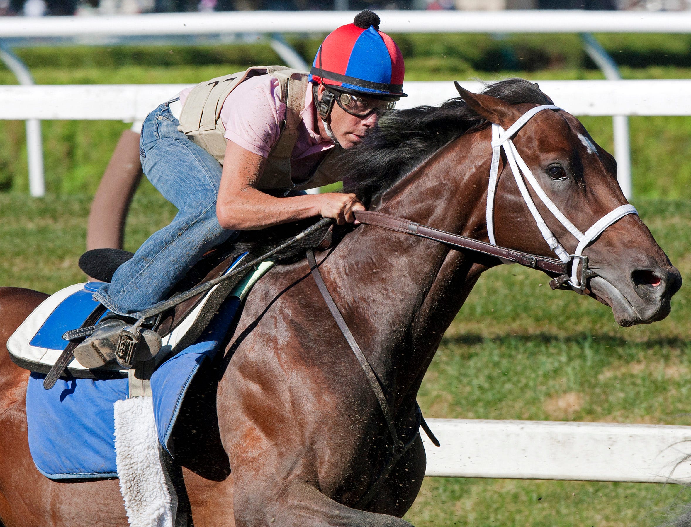 Son of Curlin-Rachel Alexandra almost ready