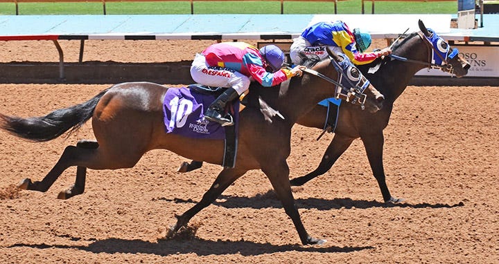 Heritage Place winner Shott Gun goes in first of 15 Rainbow trials Saturday