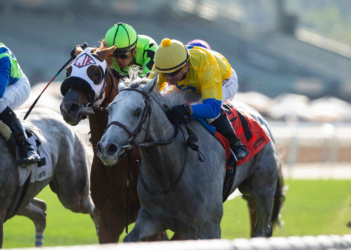 Jimmy Blue Jeans nicely spotted in Sam Spear Memorial