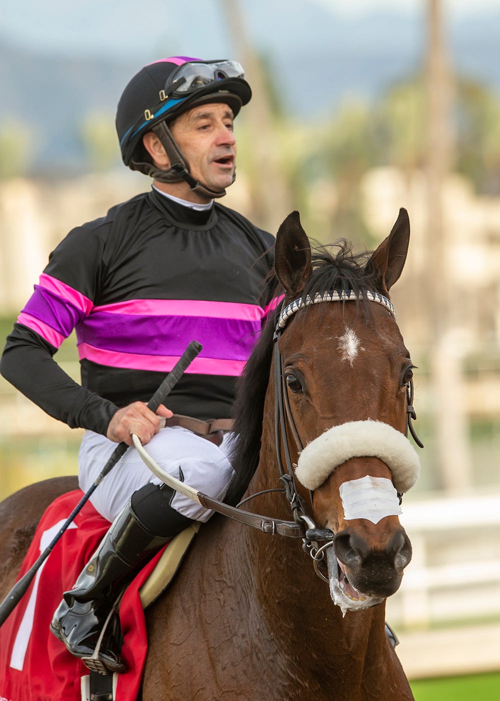 Bravo hires Brian Beach to book mounts