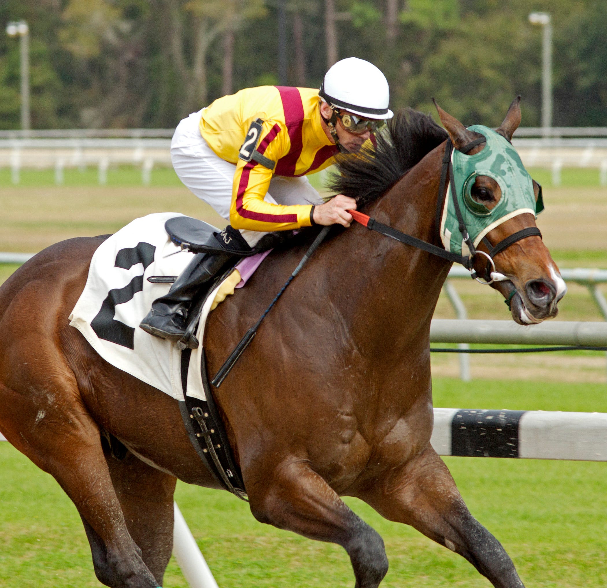 Joe Tess looks to rebound in Tampa sprint