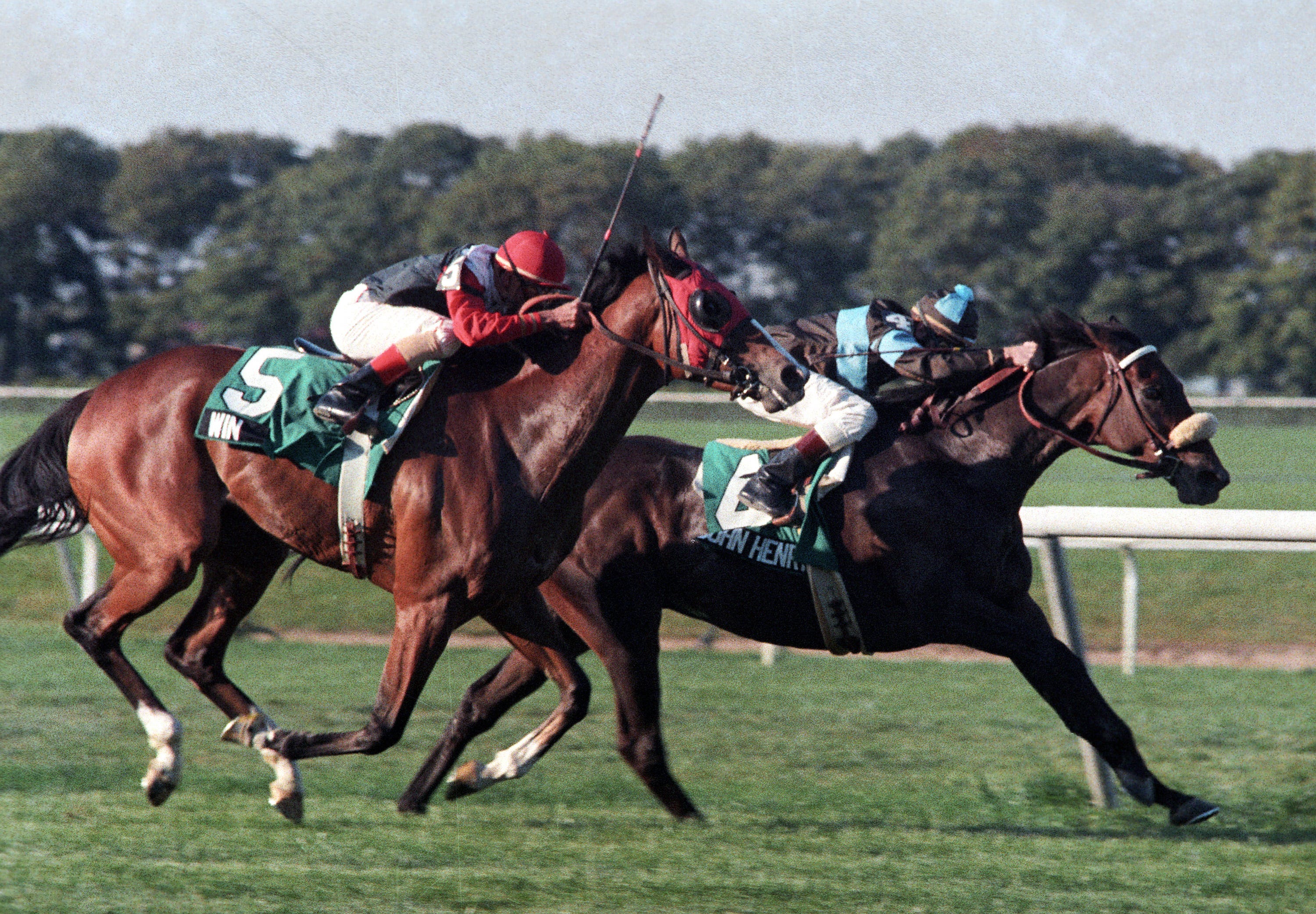 How old is too old for a racehorse?