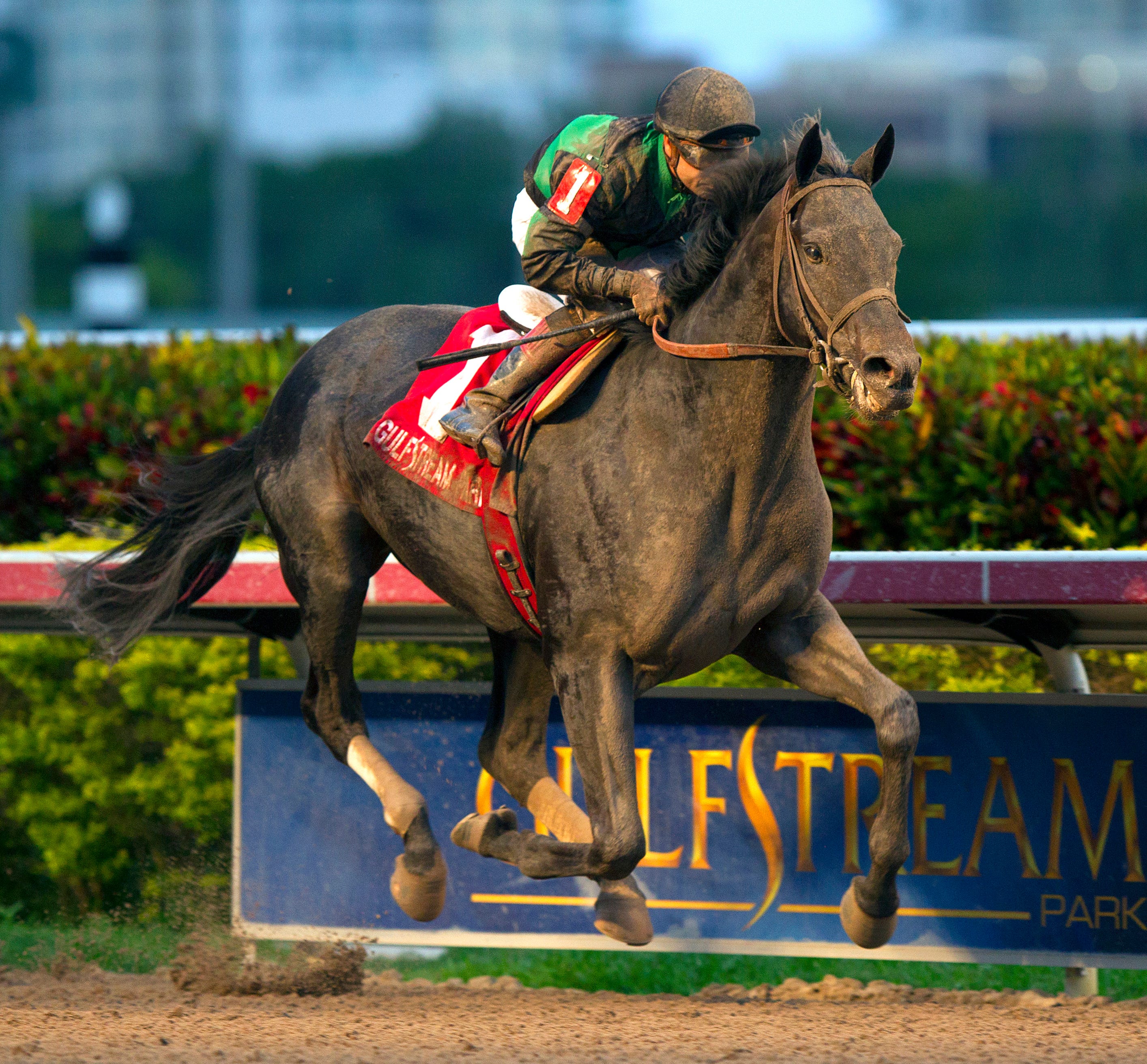 Just Call Kenny scratched from Monmouth feature