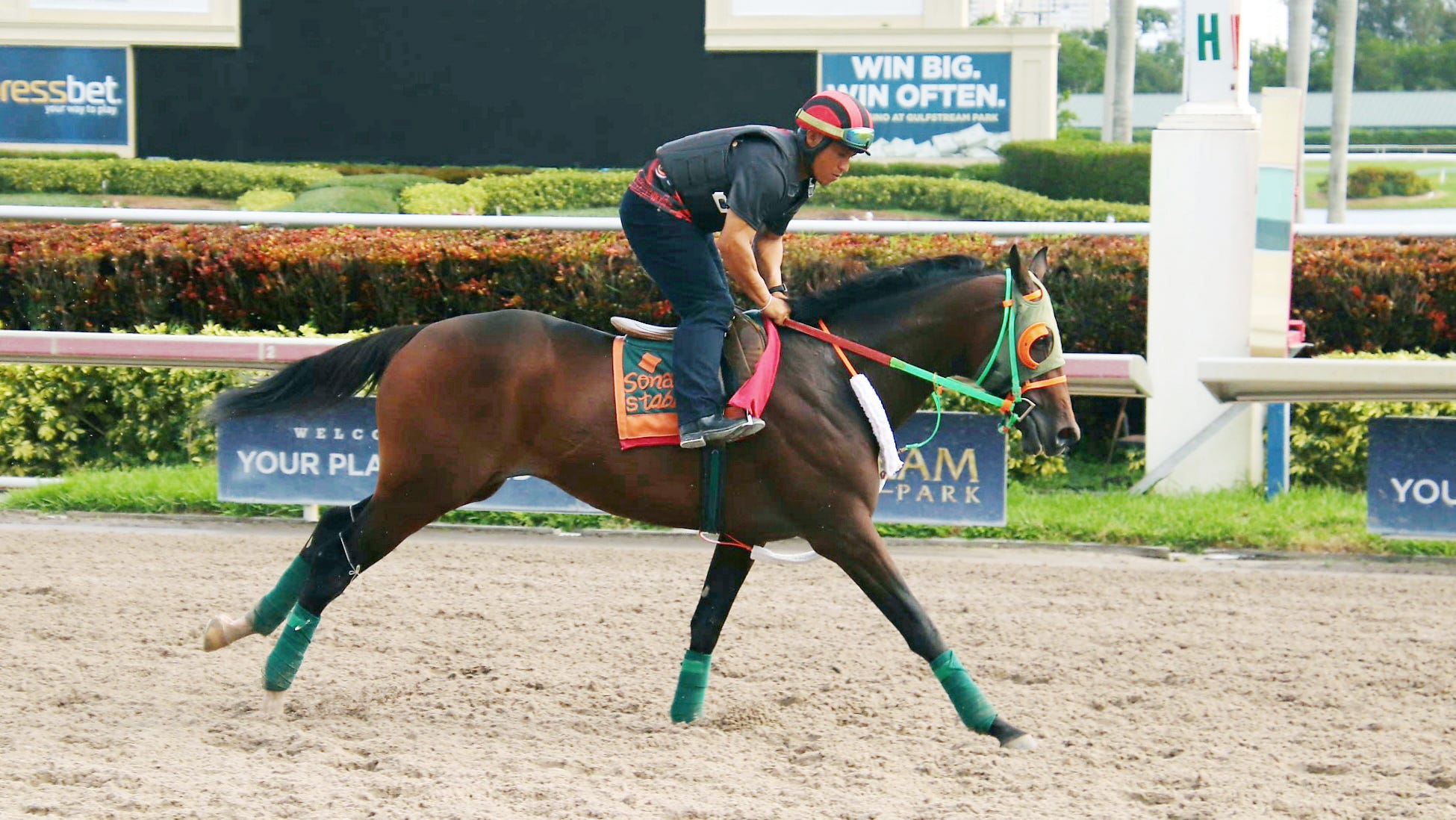 Contenders work for Clasico Internacional del Caribe program