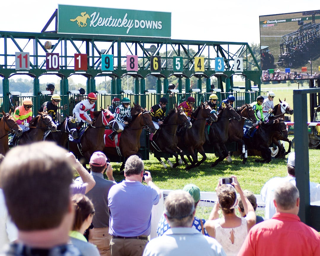DRF's 2023 Kentucky Downs Players Guide