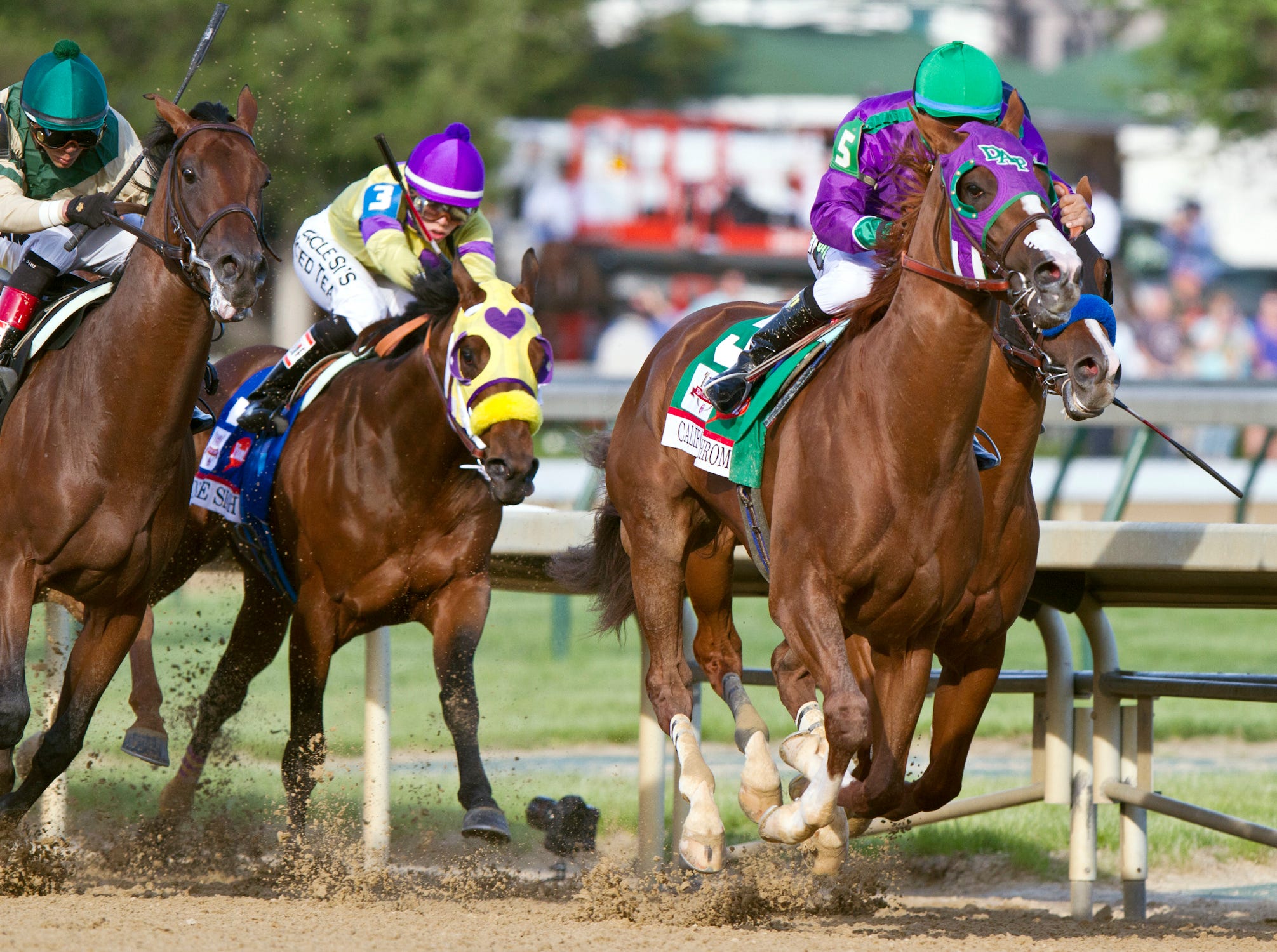California Chrome's Kentucky Derby win a coup for statebred program