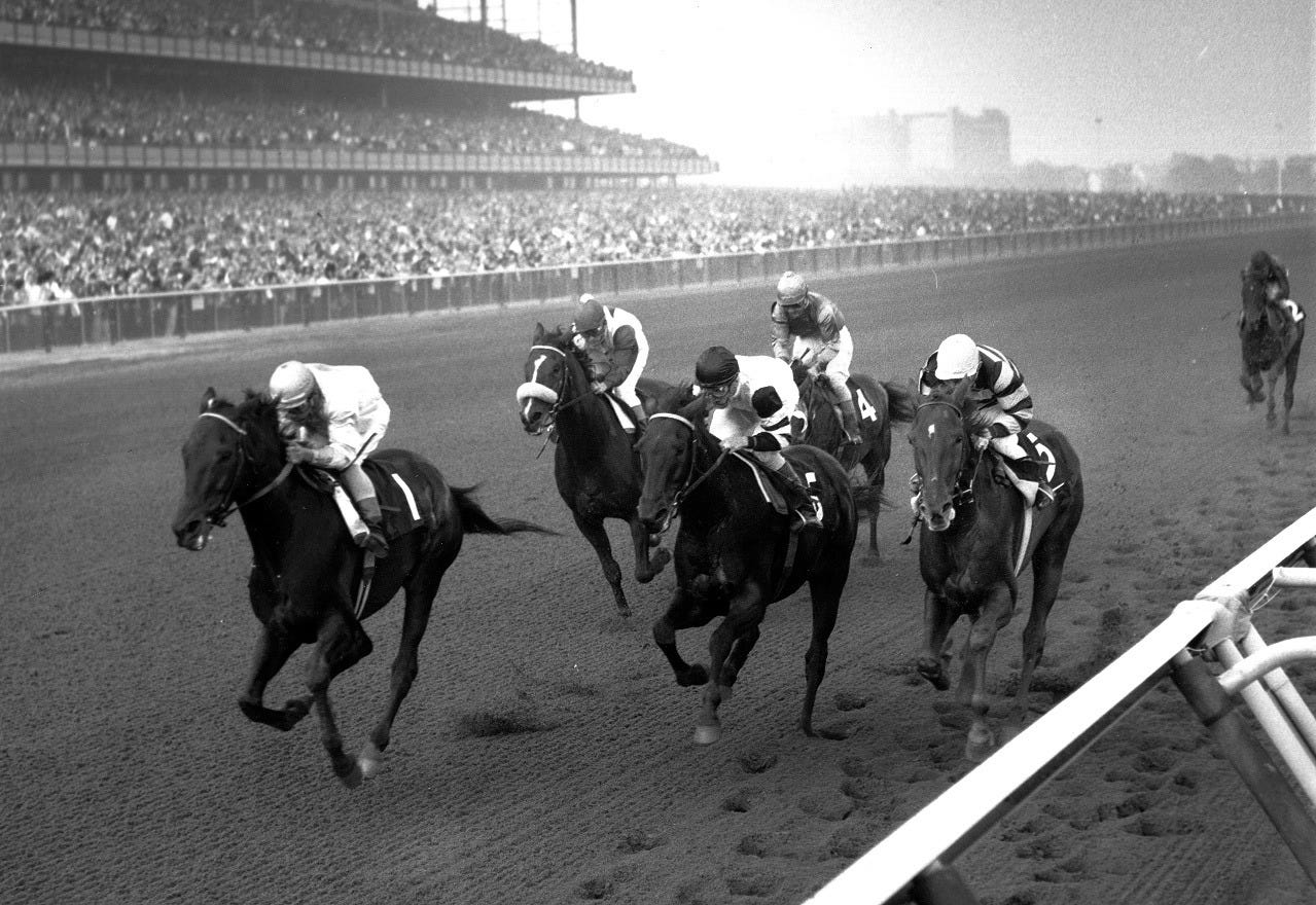 History challenge answers: Calder's Carry Back celebrates Cinderella colt