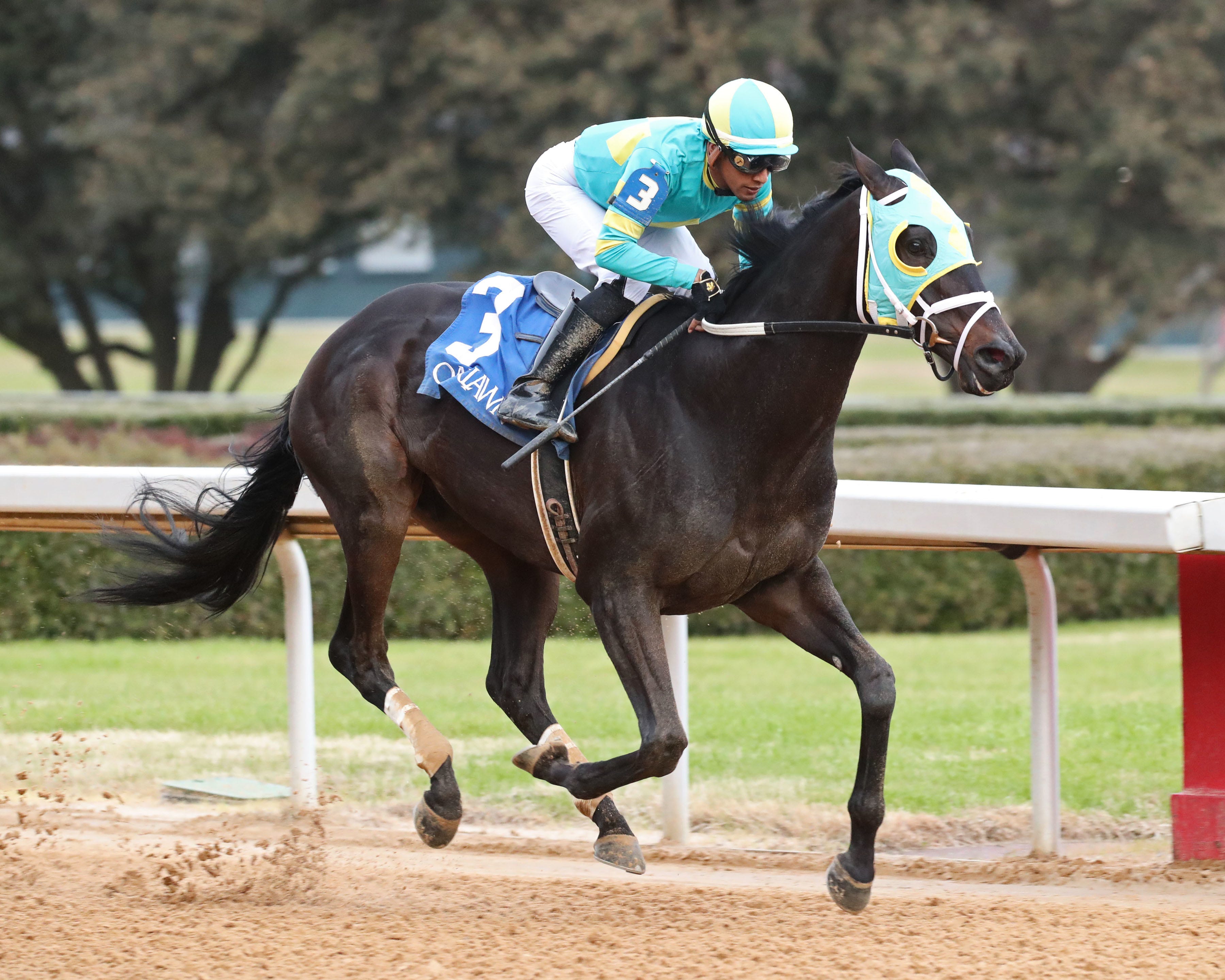 Keystone Field points to Razorback Handicap off 102 Beyer