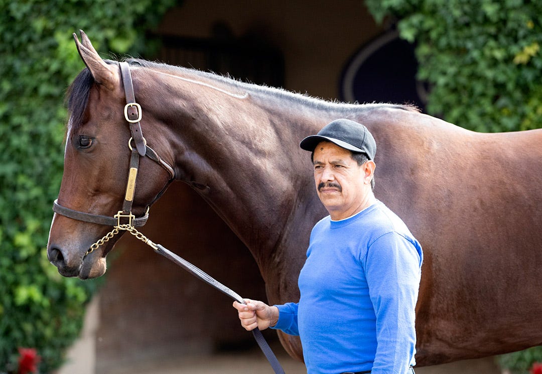 Kimari, now racing for Coolmore, begins 5-year-old season