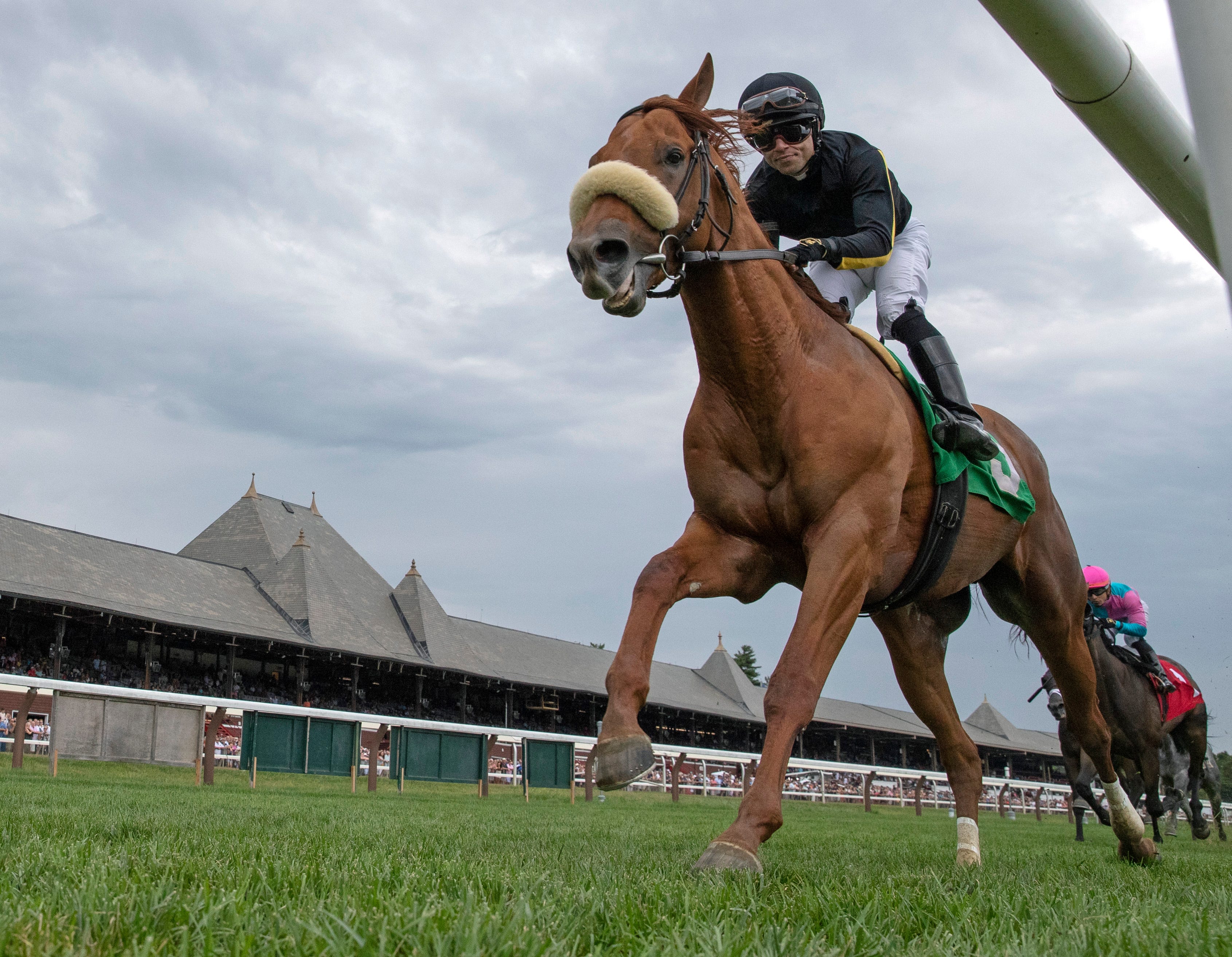 Wins from King Angelo, Awesome Native part of spree by Jorge Abreu