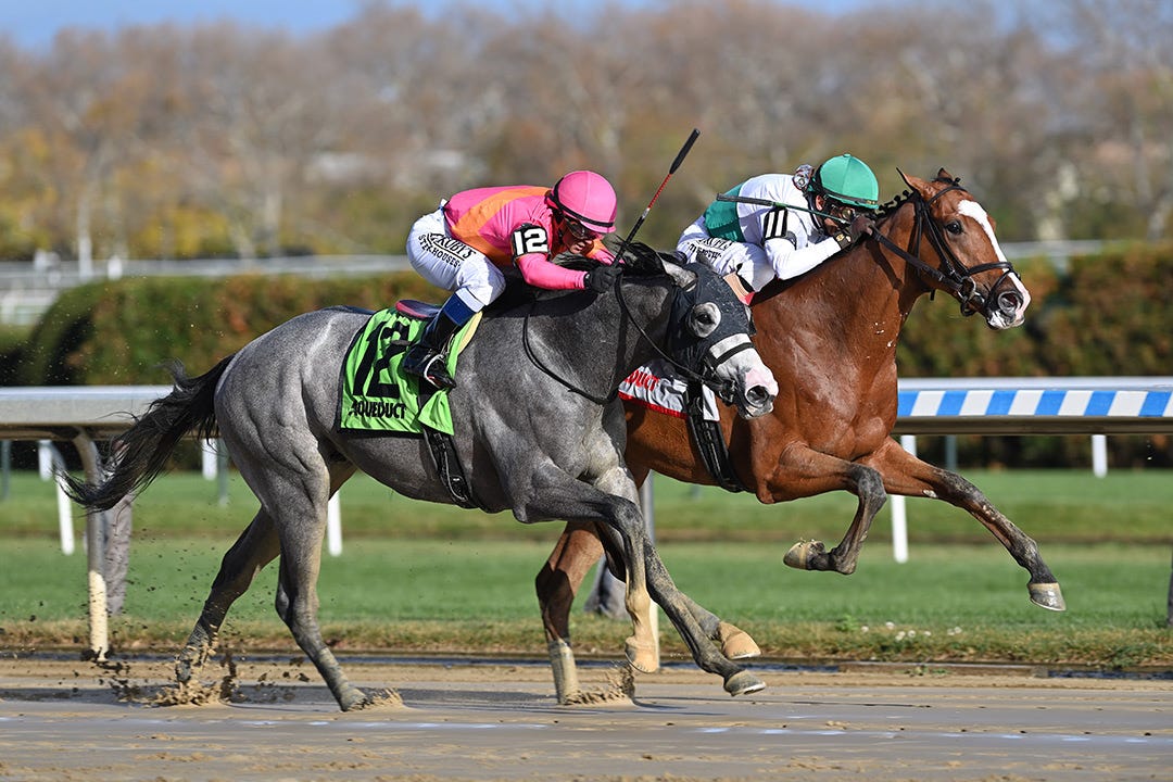 Kitten Mischief gets pivotal test in allowance