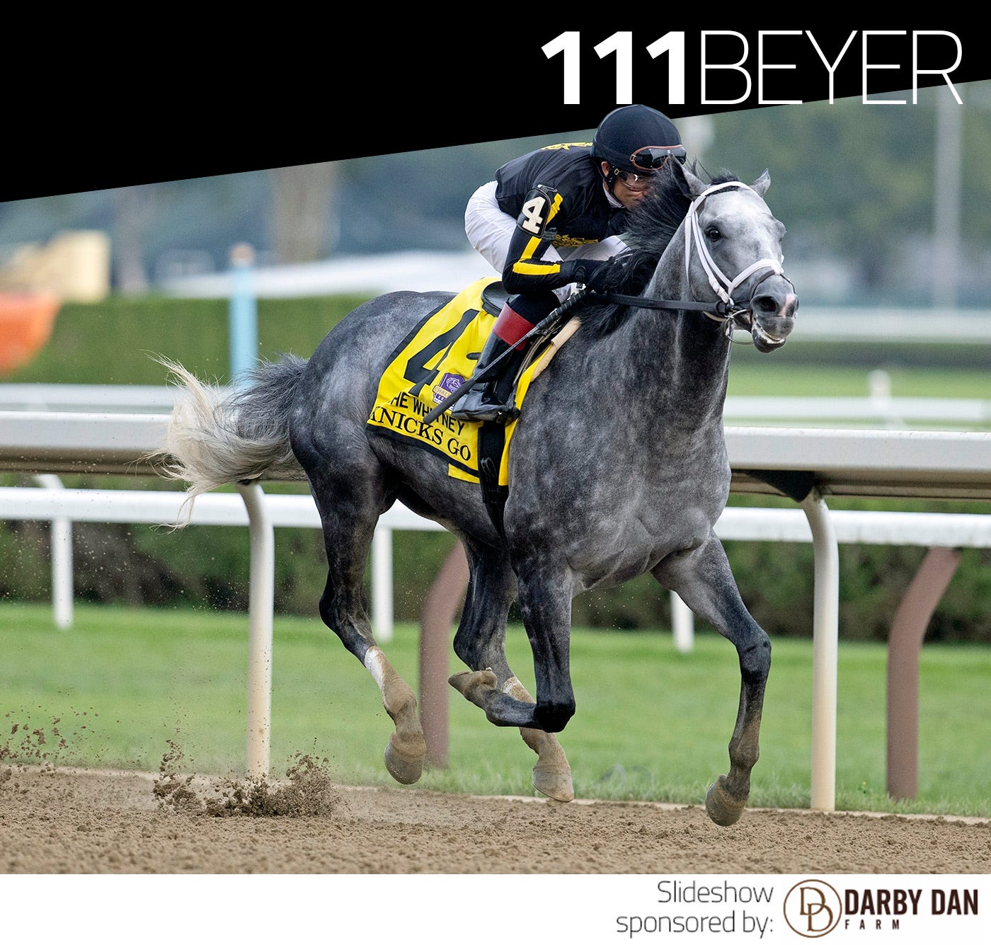 Knicks Go ascendió al tope en la Clasificación de la National ...