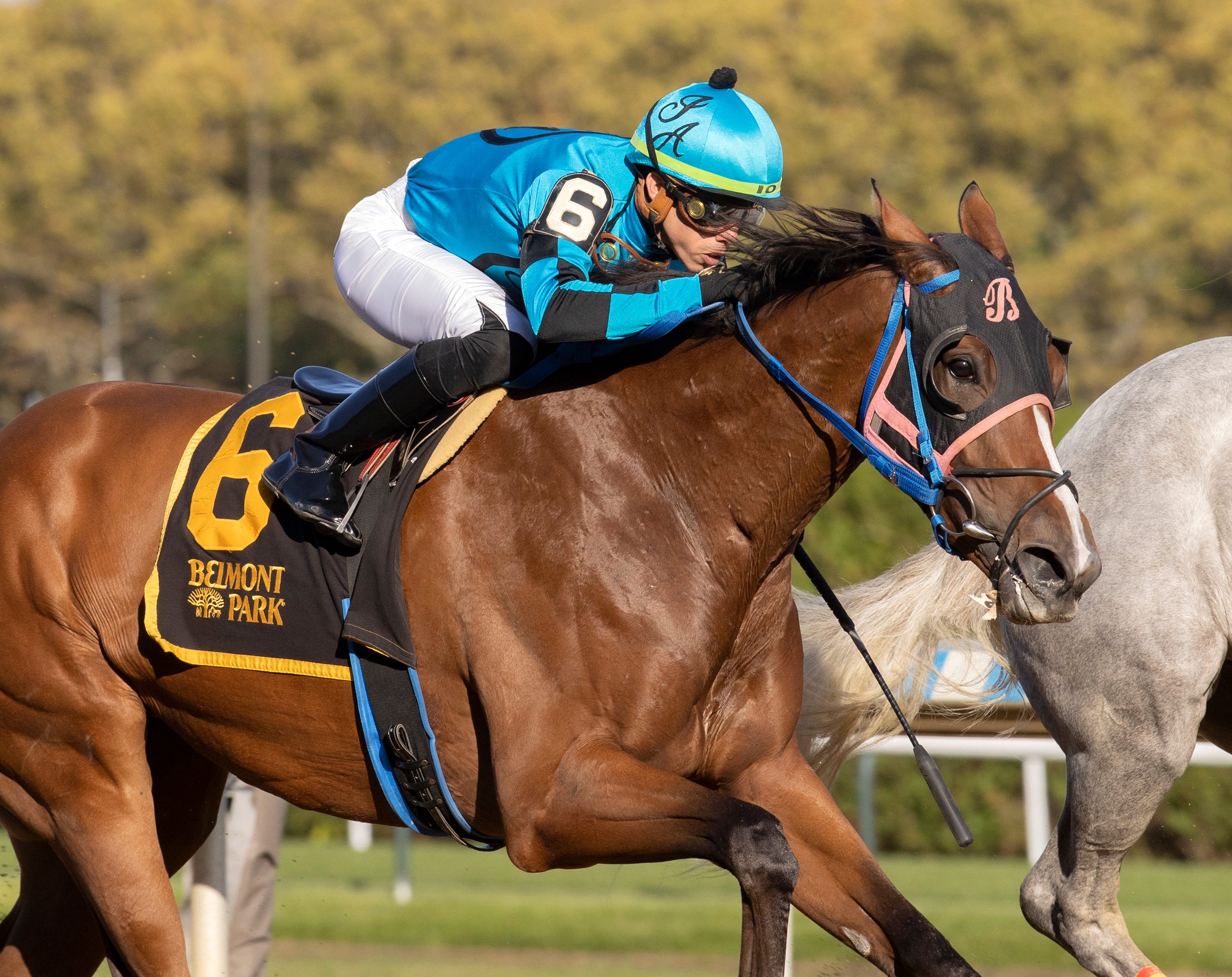 Know It All Audrey fits well in Biogio's Rose