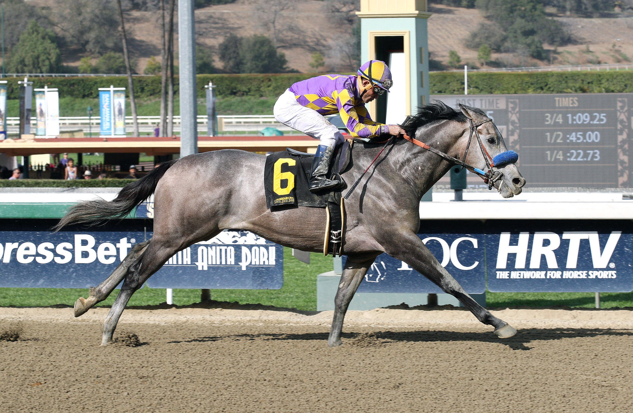 Kobe's Back ready to put gate woes behind him