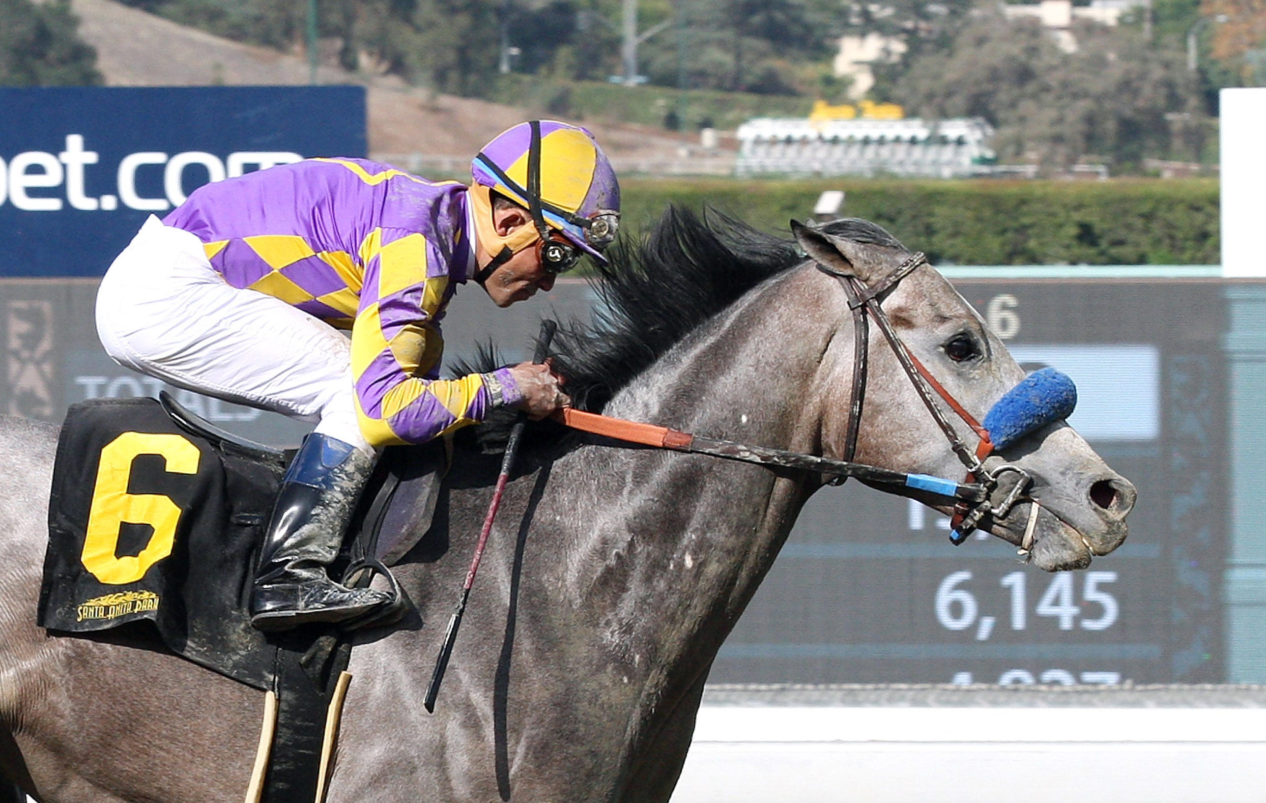 Kobe's Back eyes Woody Stephens