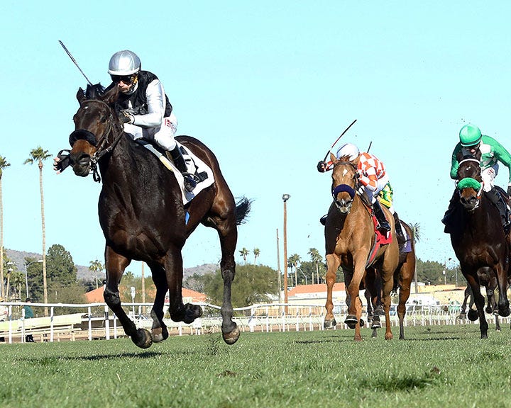 DRF's Horse Racing Playbook for Wednesday, March 1, 2023