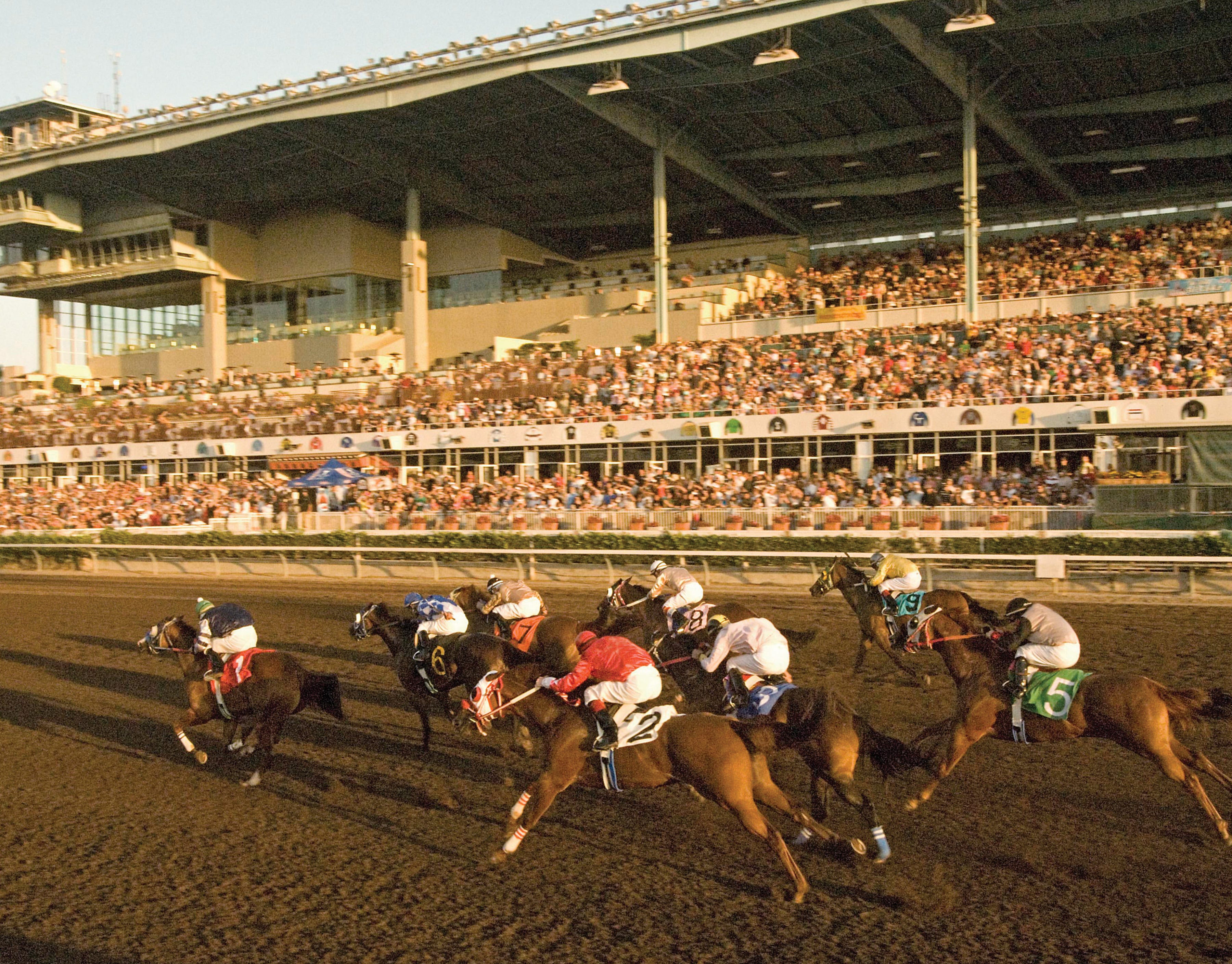 Three stakes planned for Los Angeles County Fair meet