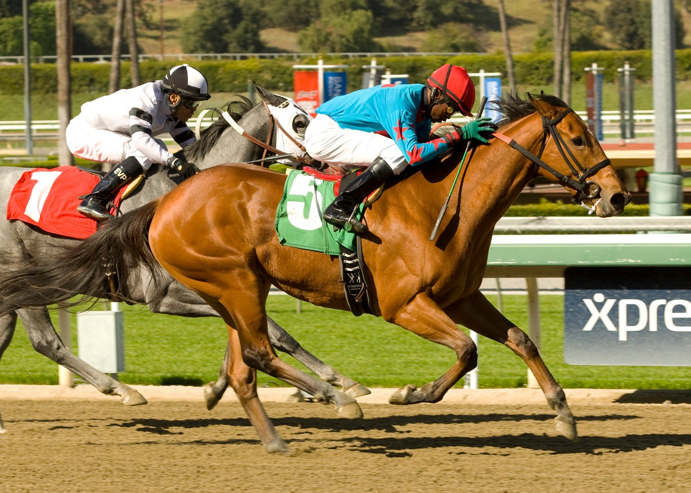 Hollywood Park: Lemon Hero tries again in Le Cle