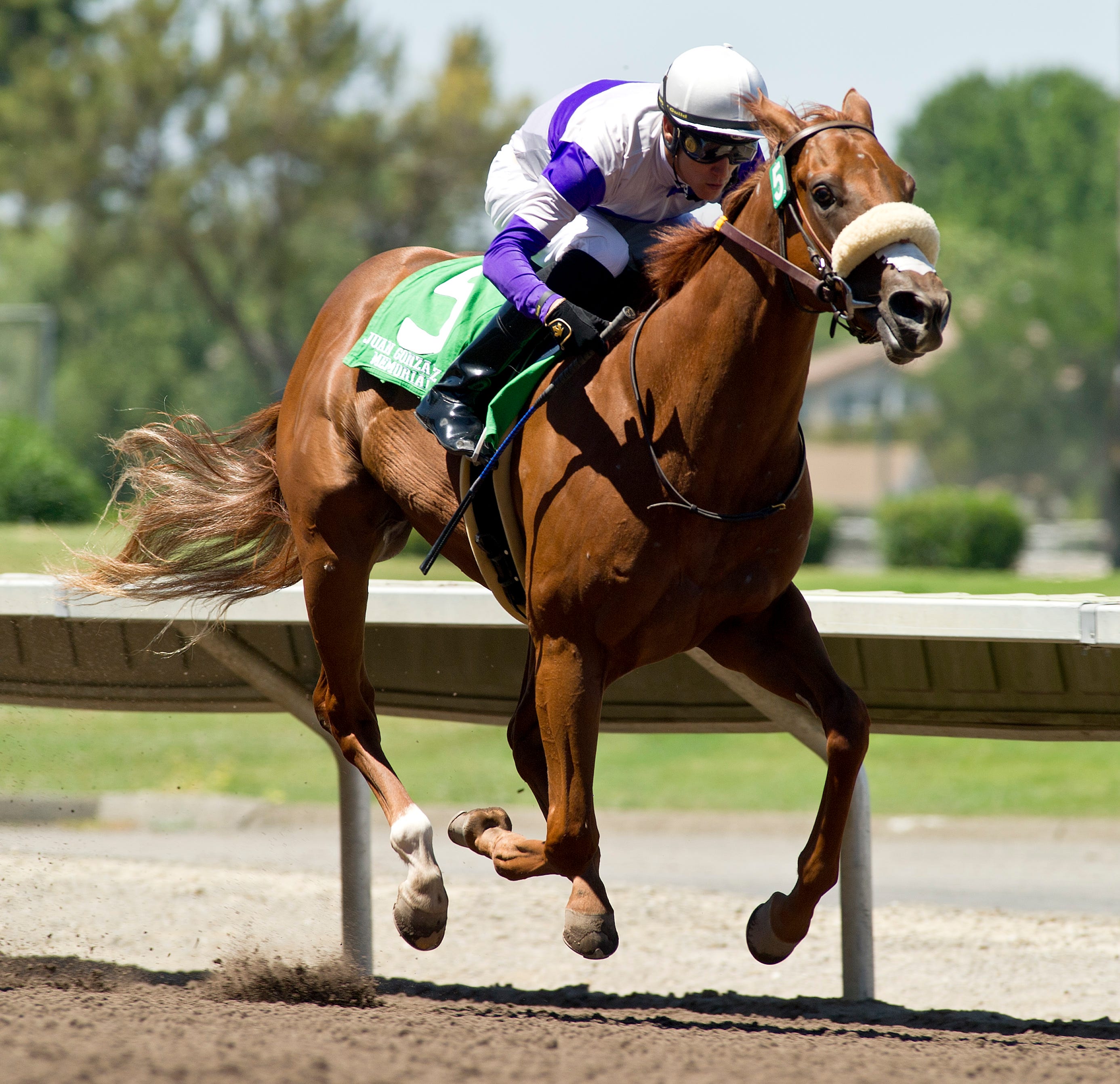 Lippy delivers as favorite in Juan Gonzalez Memorial