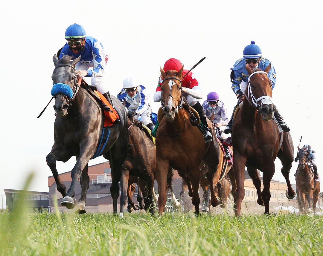 DRF's Horse Racing Playbook for Sunday, September 8, 2024