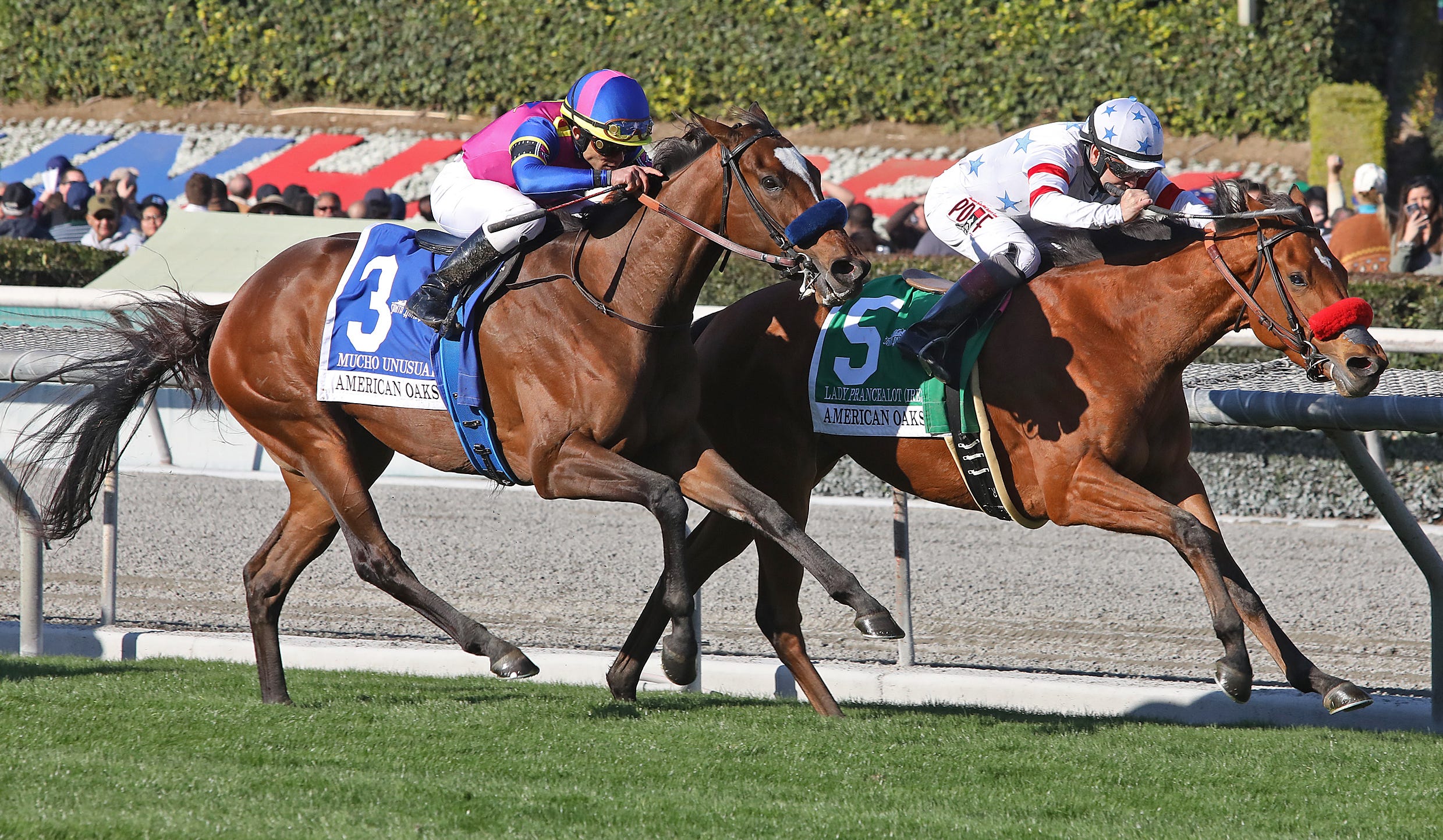 Lady Prancealot shoots the rail under Joe Bravo to win American Oaks