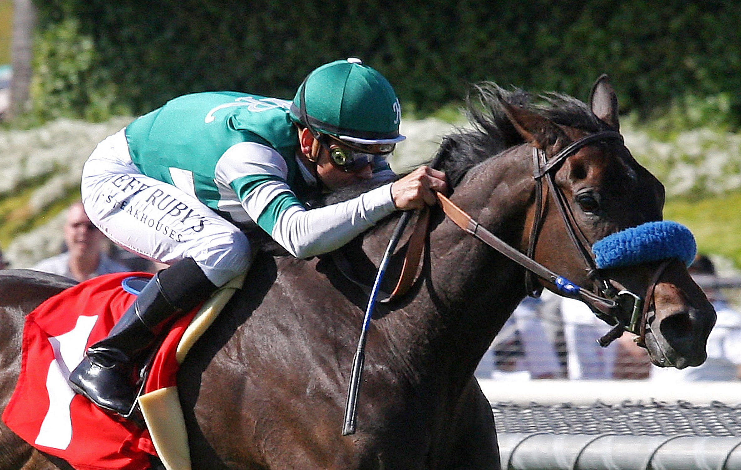 Hollywood Park: Lady of Shamrock ready to go long in American Oaks