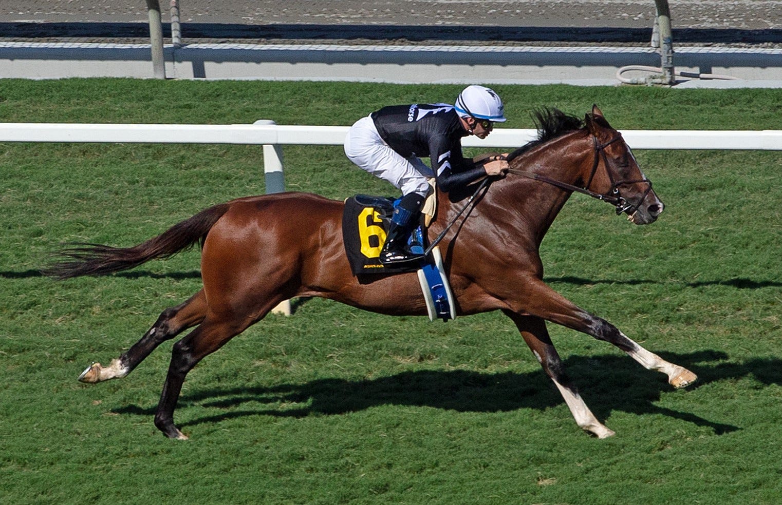 Lane Way can score overdue stakes win in Clockers' Corner