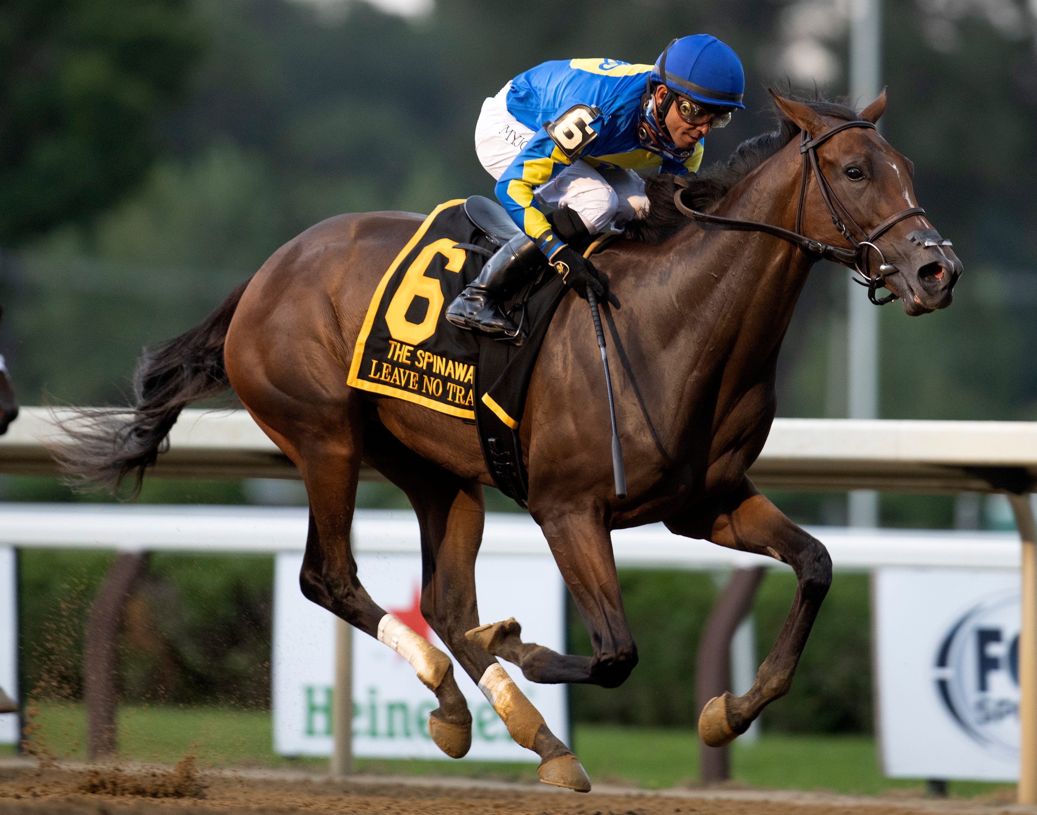 Grade 1 winner Leave No Trace entered main-track-only