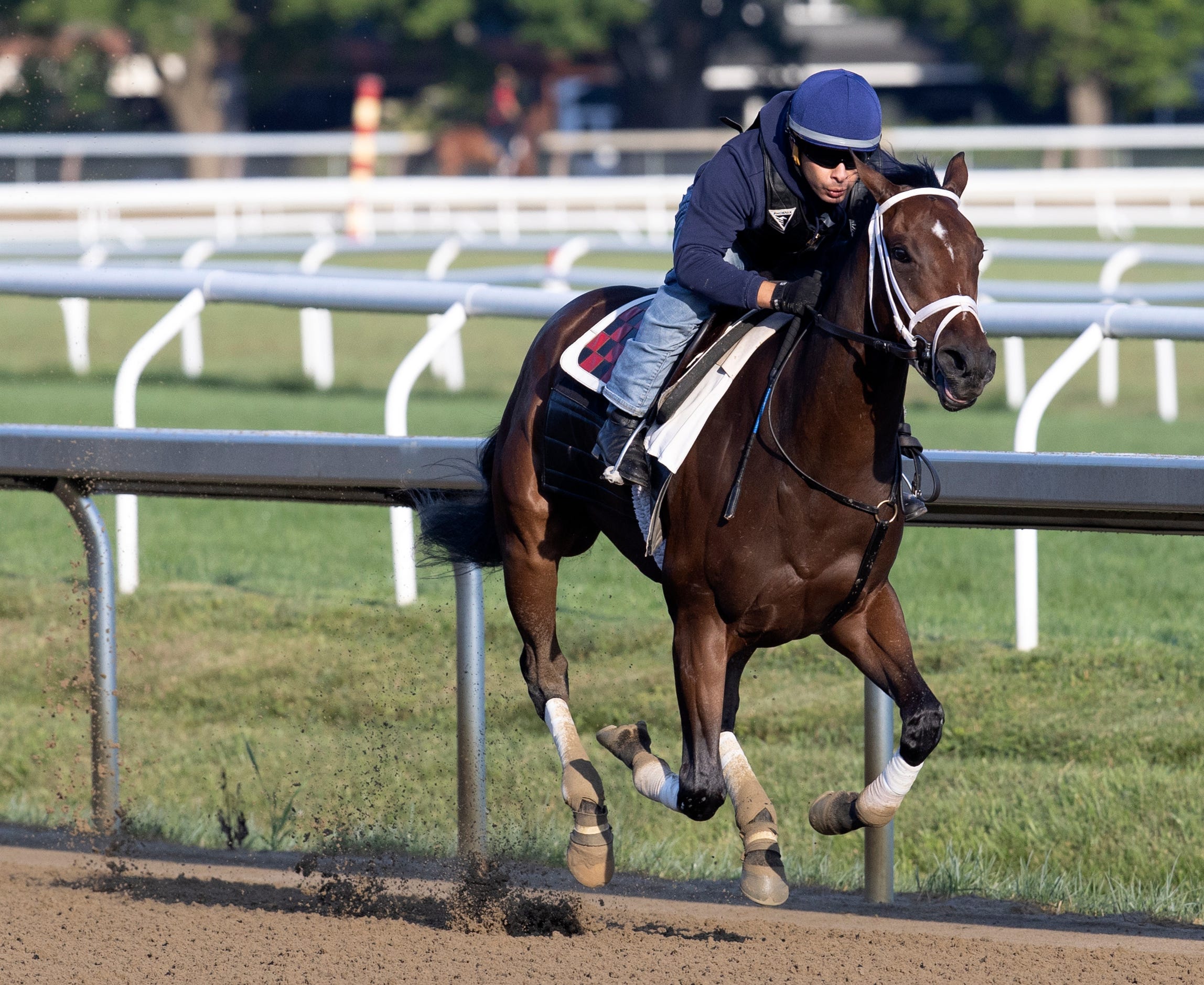 I'mhavingamoment goes from debut win to Maddie May Stakes