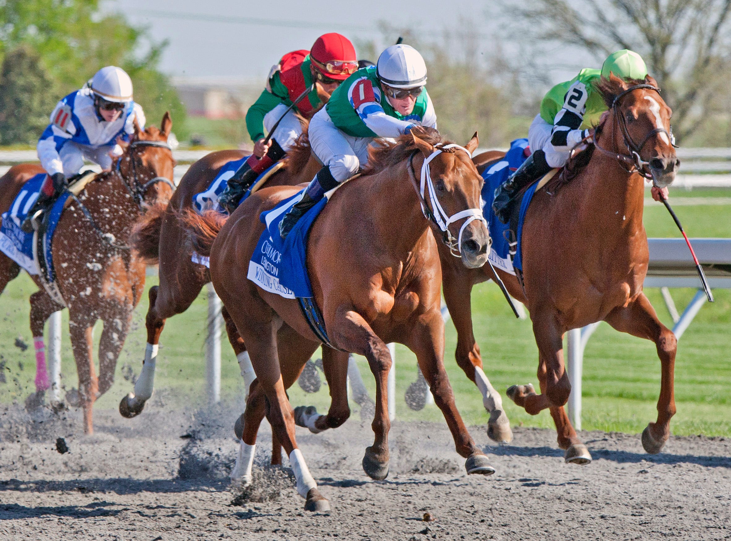 Lexington Stakes: Winning Cause enters Kentucky Derby picture