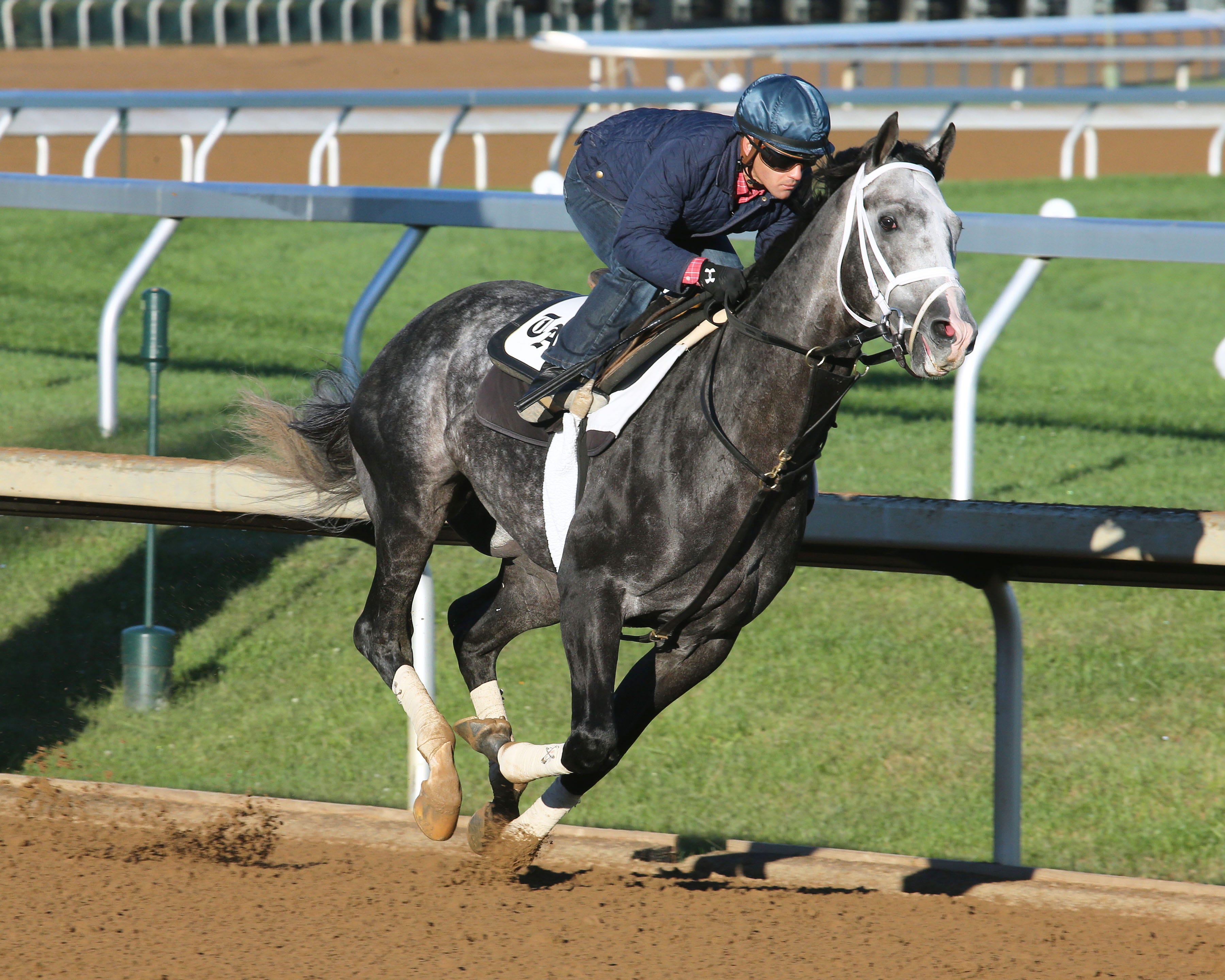 Liam’s Map has first local work for Breeders’ Cup