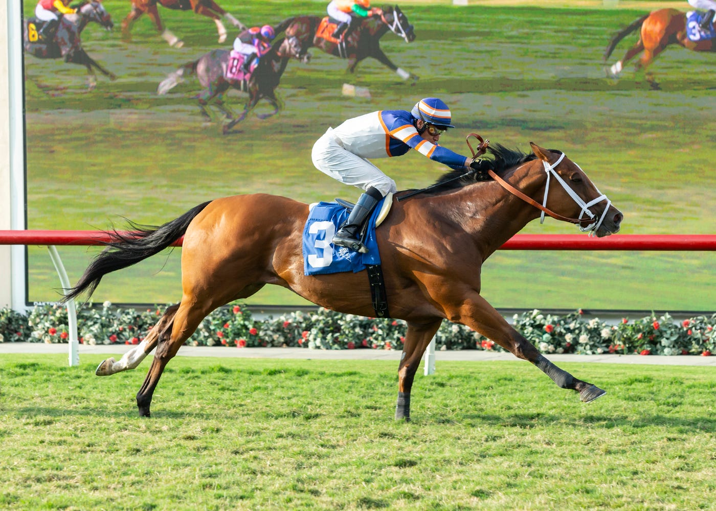 Adayar emuló a Galileo venciendo en el King George VI & Queen Elizabeth ...