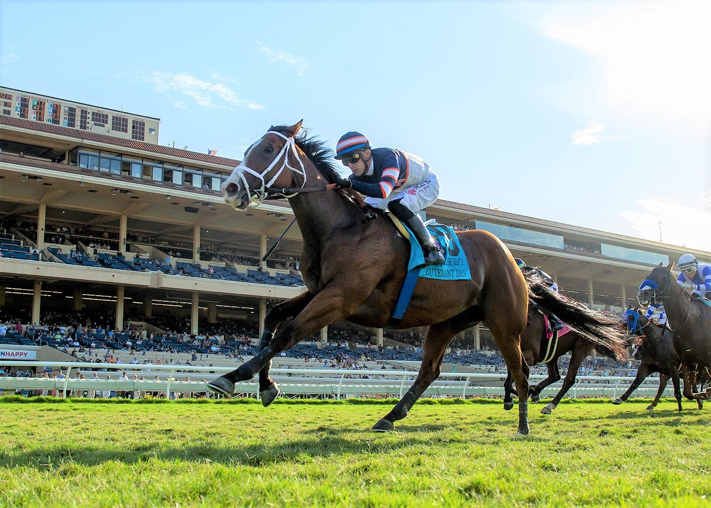 Lieutenant Dan won't make Eddie D Stakes