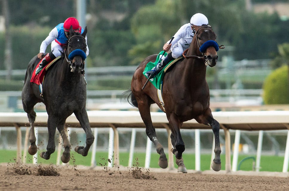 Life Is Good learning his lessons well for San Felipe