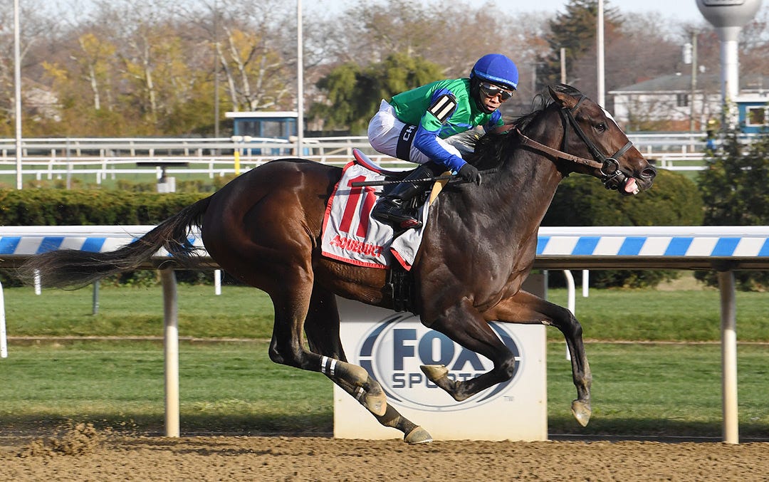 Life Is Great looks good enough in Jimmy Winkfield Stakes