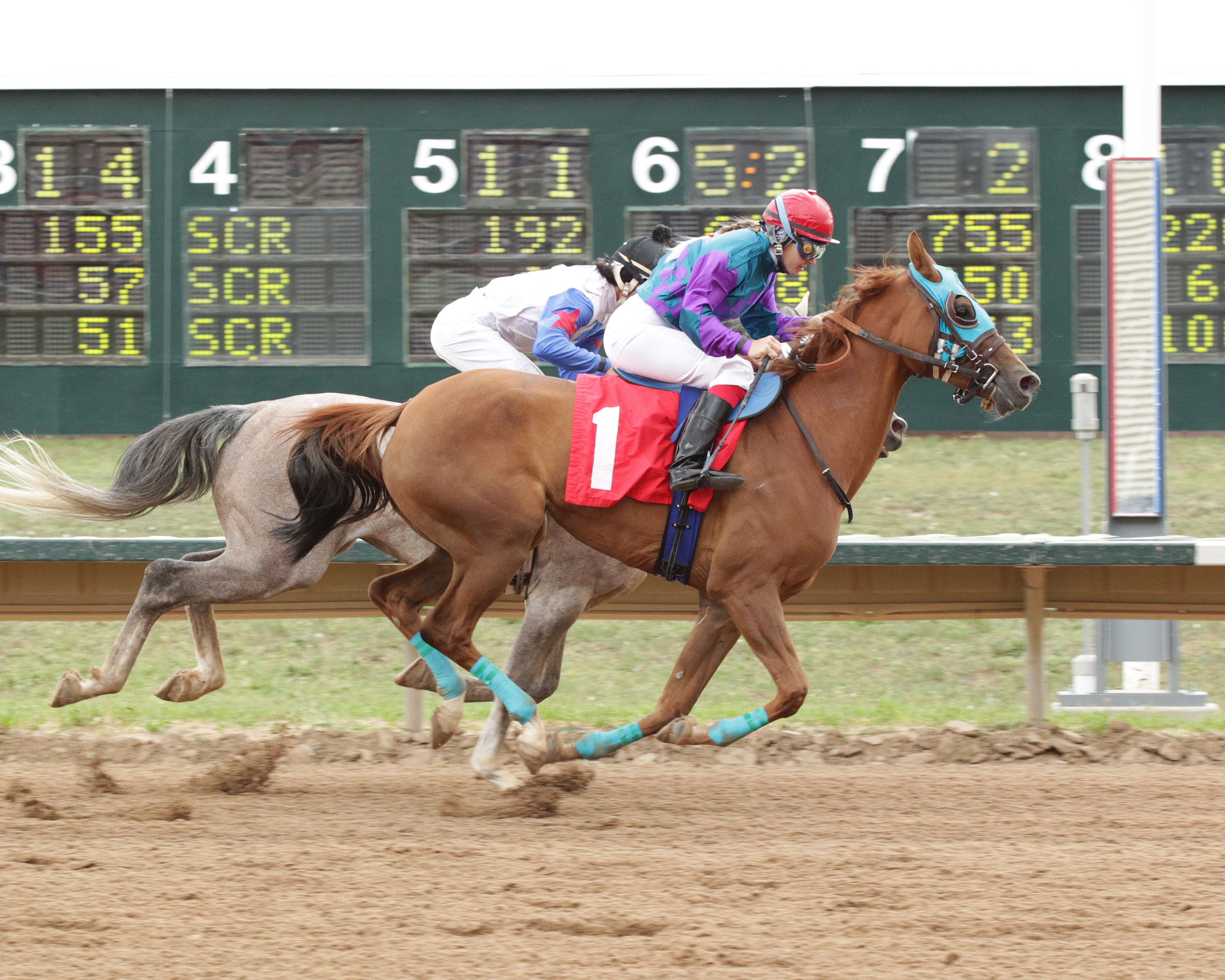 Trainer wins Arabian stakes named in son's honor