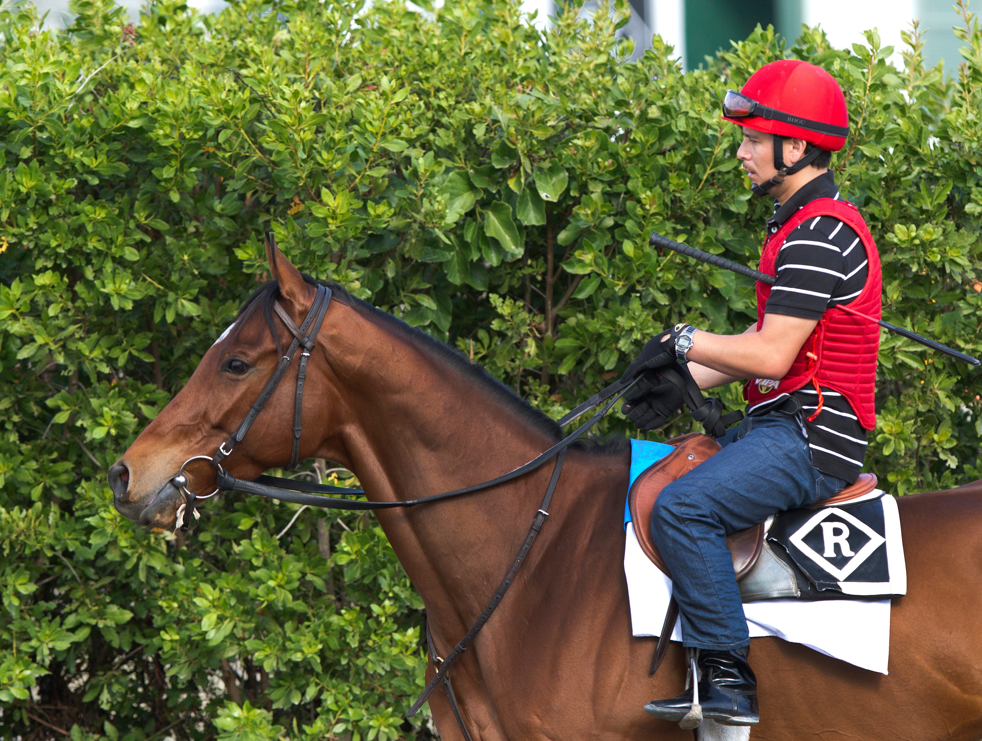 Dubai: Little Mike goes back to turf and gets Stevens