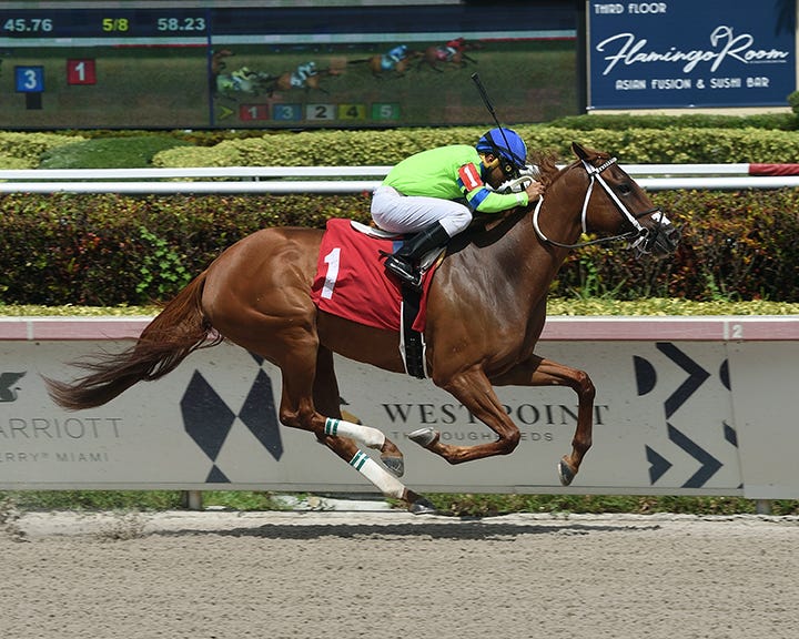 Liza Star gunning for five in a row