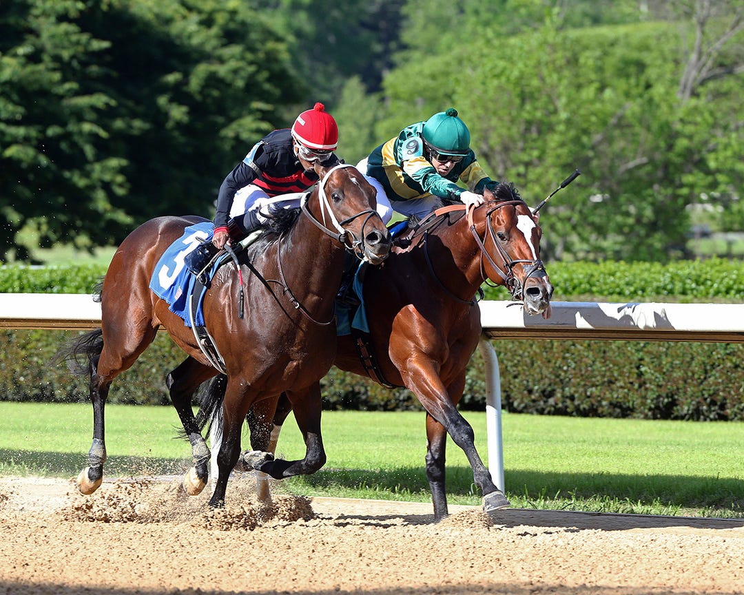 Long Weekend speed of the speed in Amsterdam