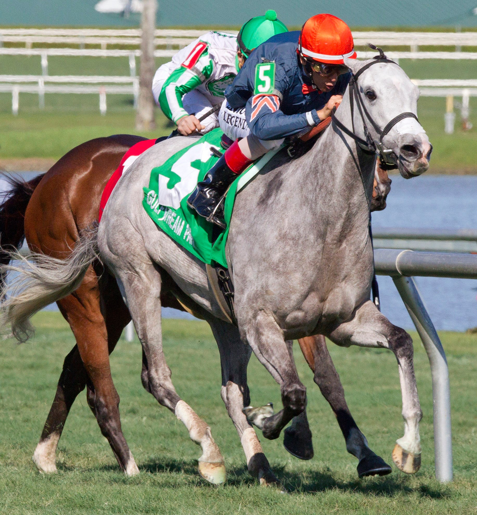 Lori's Store goes wide to win Sunshine Millions Filly and Mare Turf