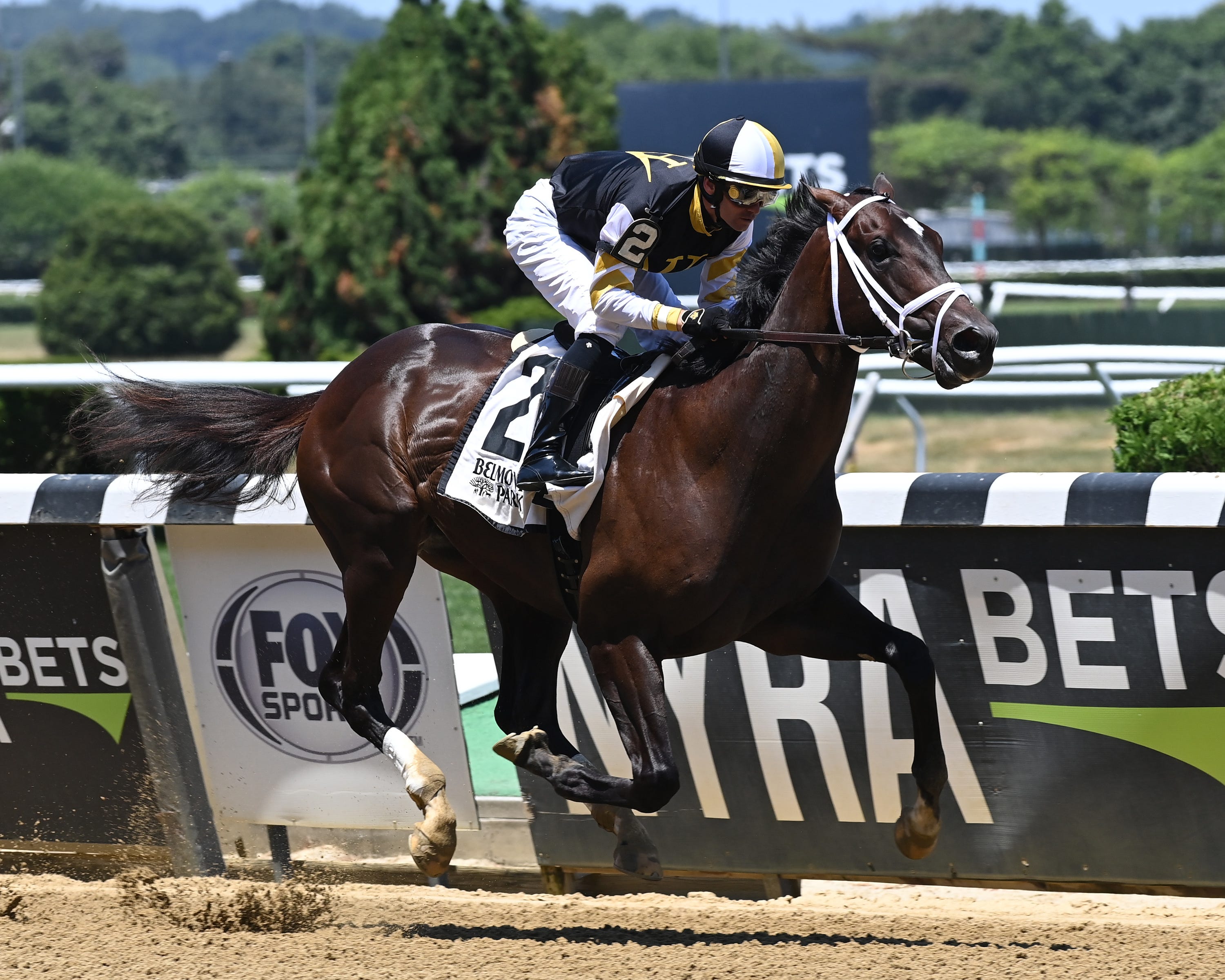 Lost Ark will have to paddle hard in Sapling Stakes