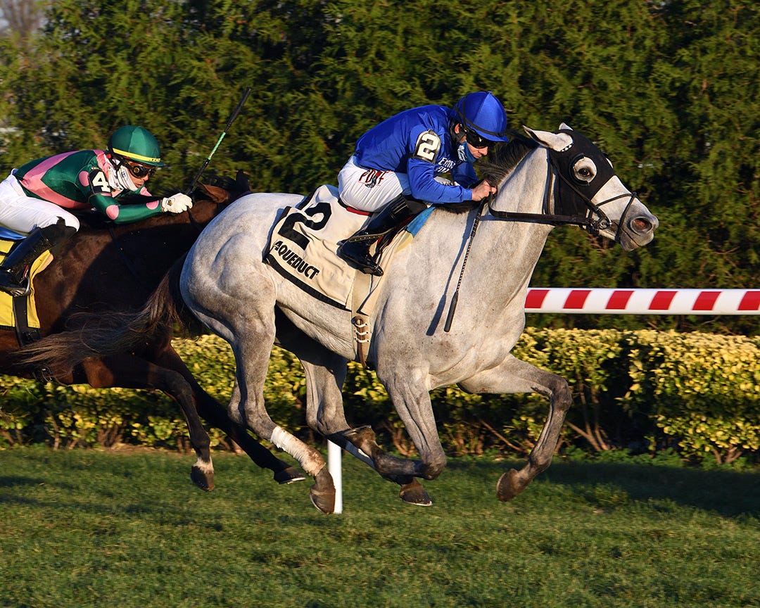 DRF's Horse Racing Playbook for Friday, December 31, 2021