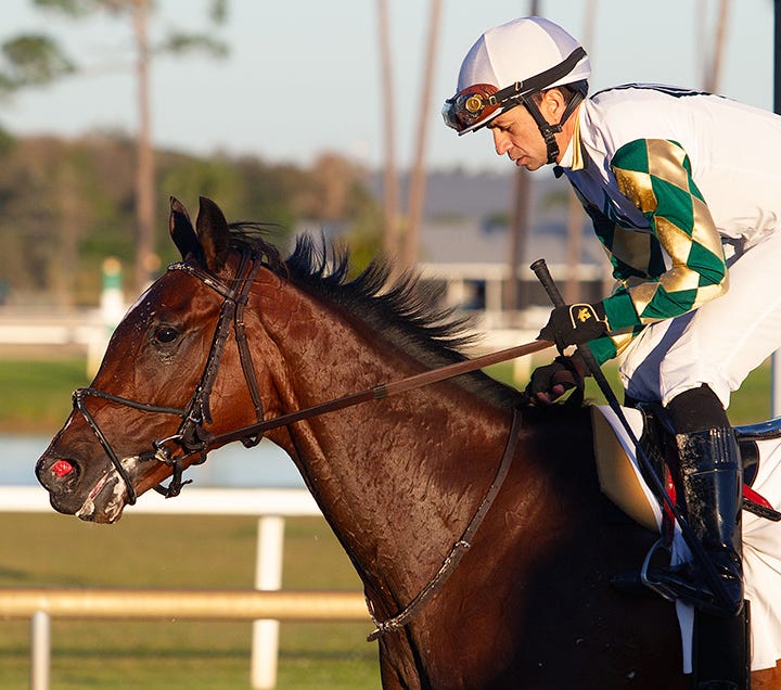 Panici, Ortiz sidelined with injuries