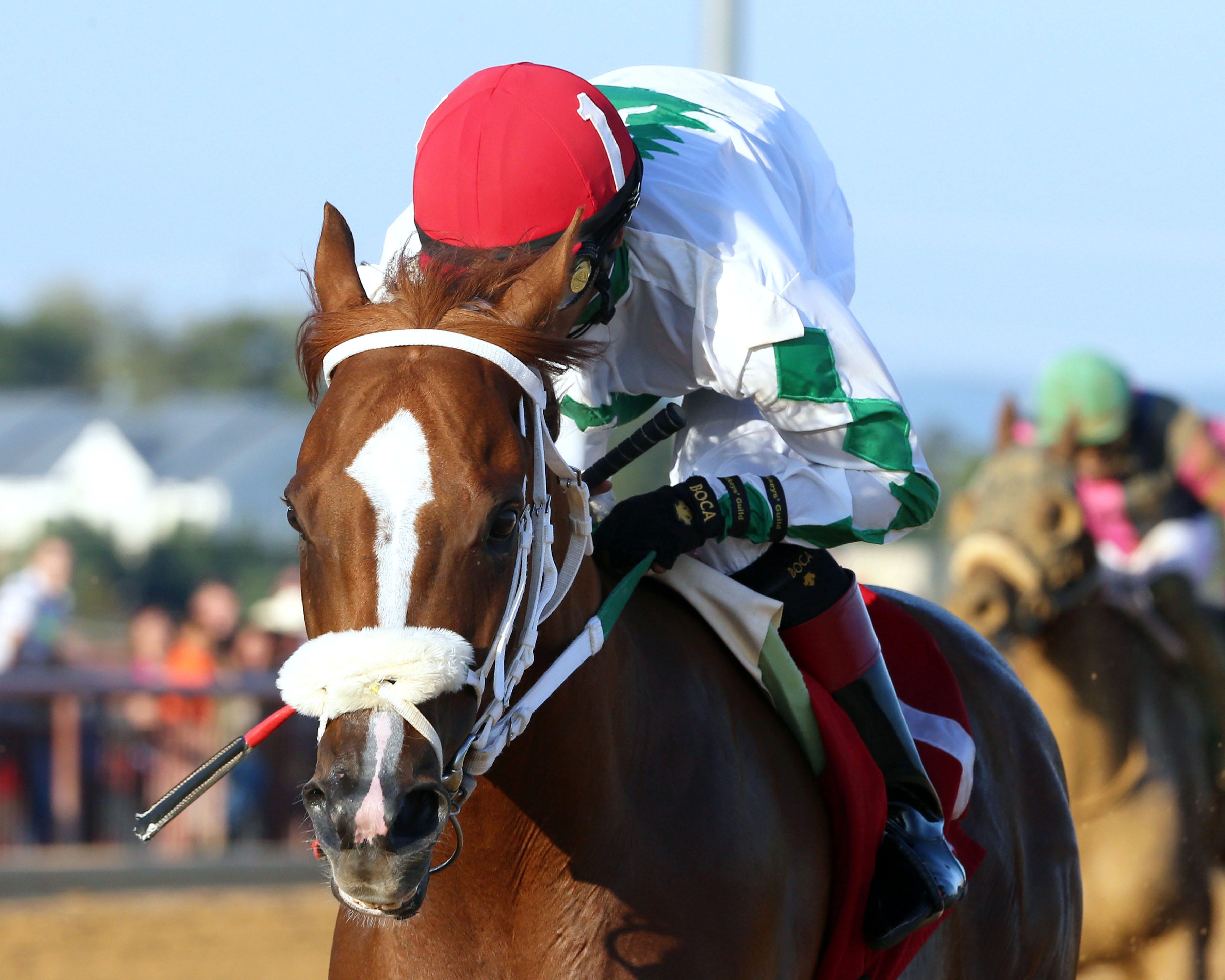 Lucy's Bob Boy a strong favorite to repeat in A Huevo Stakes
