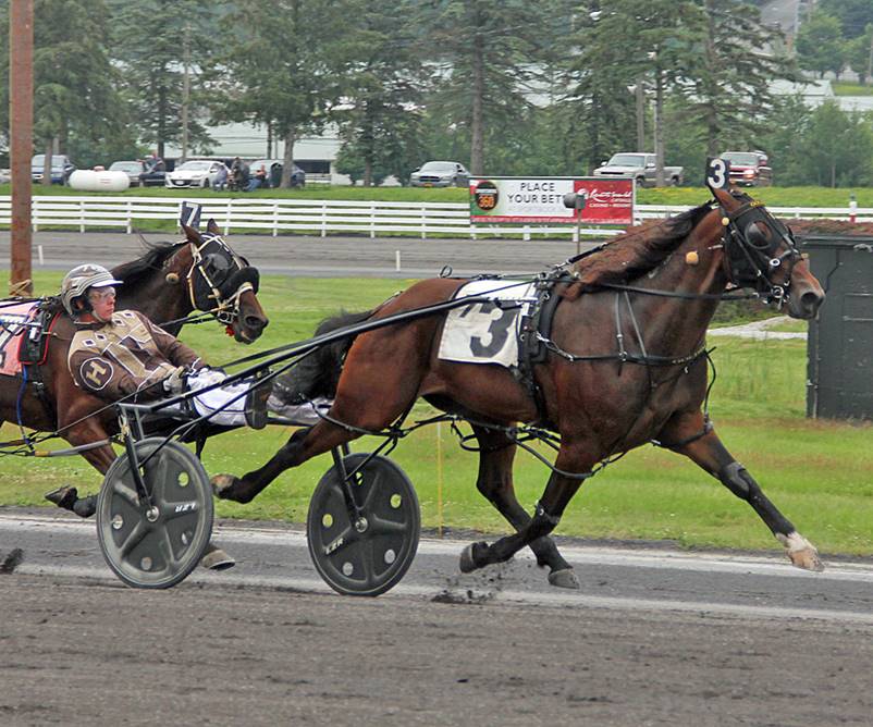 Harness: Luke Hanners is making a name for himself on the road