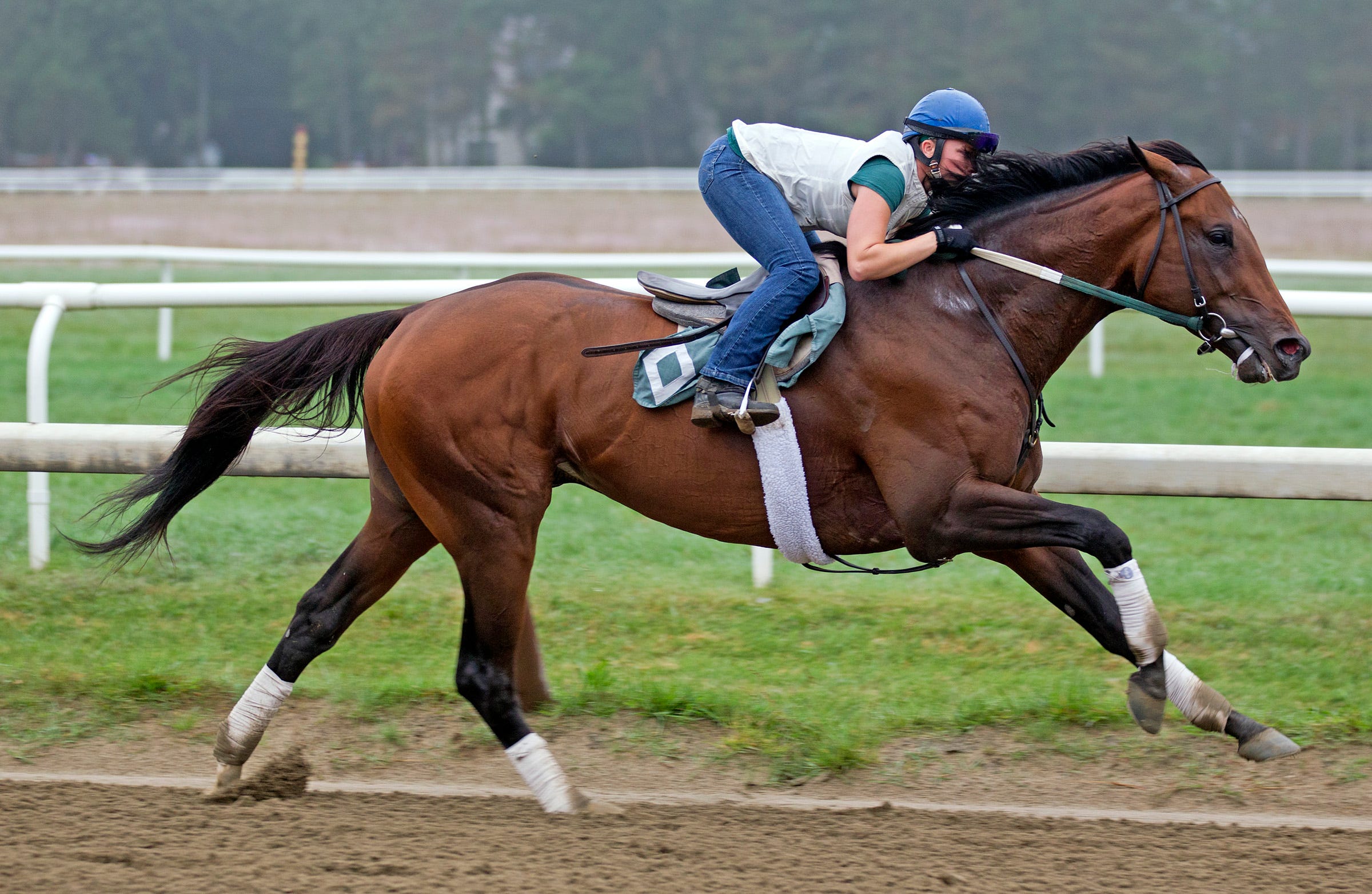 Belmont Park: Lunar Victory streaking into Promenade All Stakes